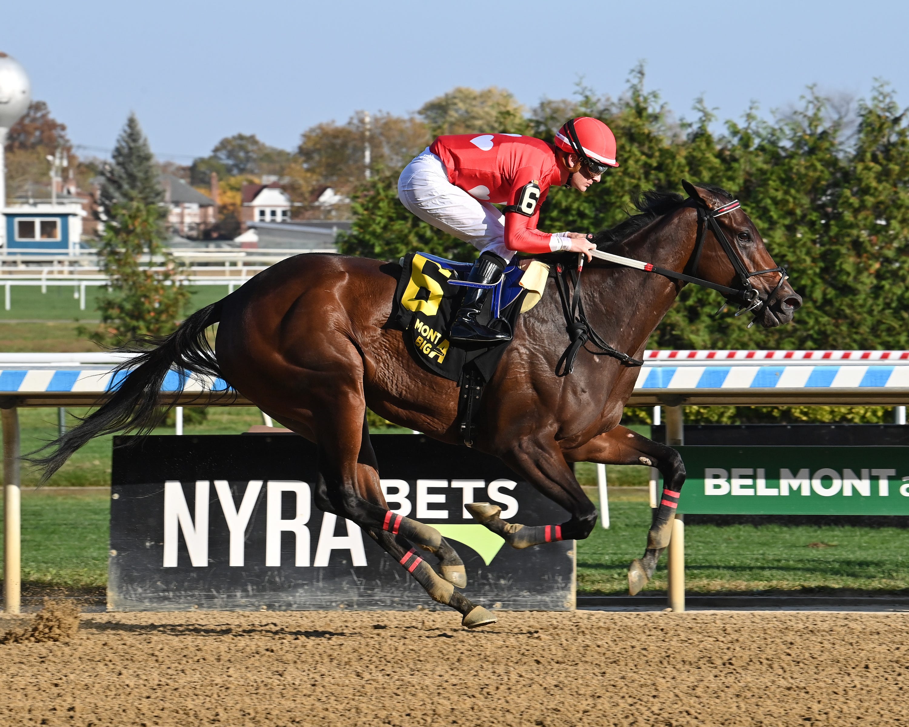 Xigera loving life on dirt, looks to extend streak in Falls City