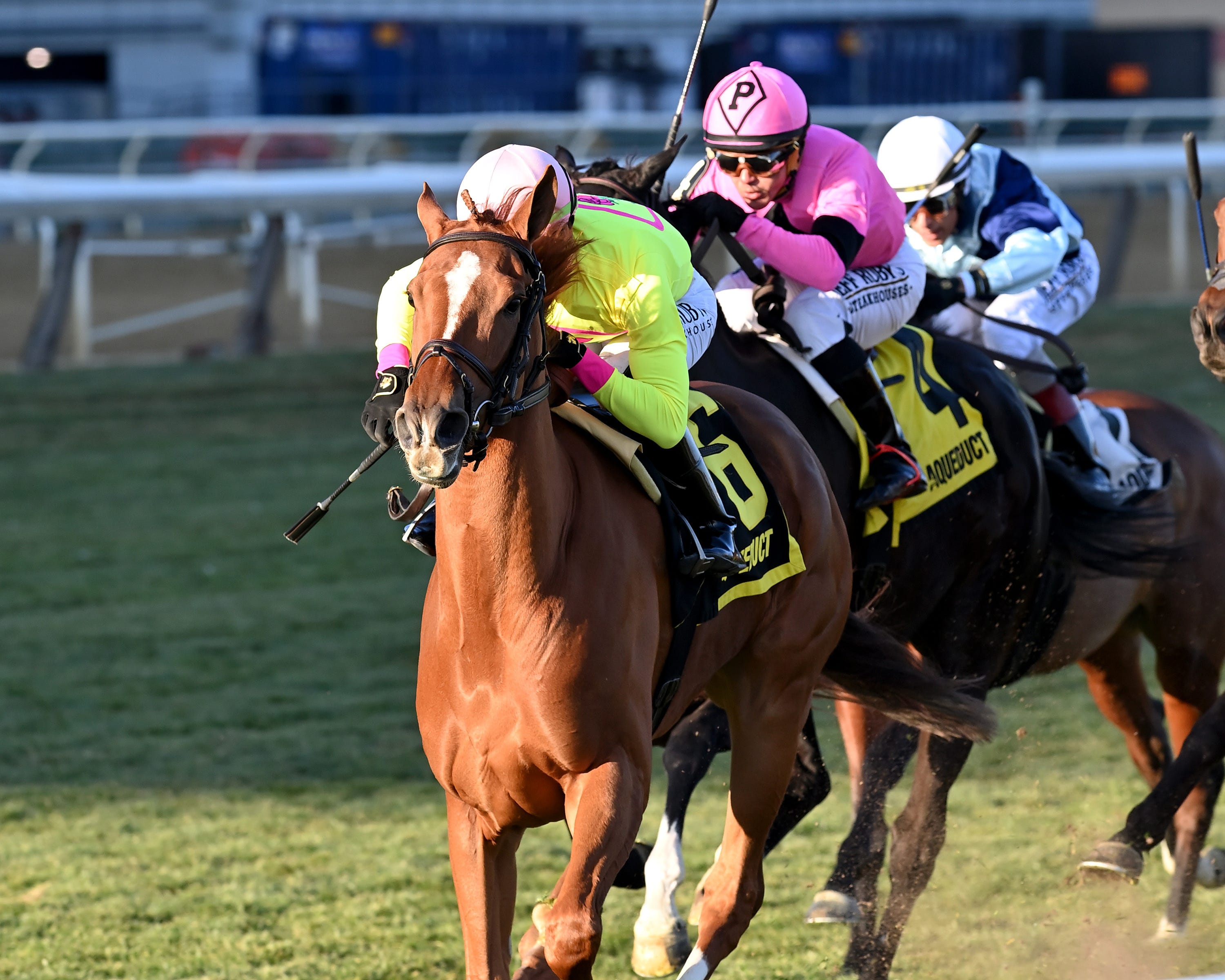 Chili Flag turns tables on Tass, takes Forever Together