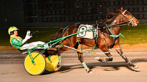 Dover: Curtsyforpurrseco completes DSBF series sweep