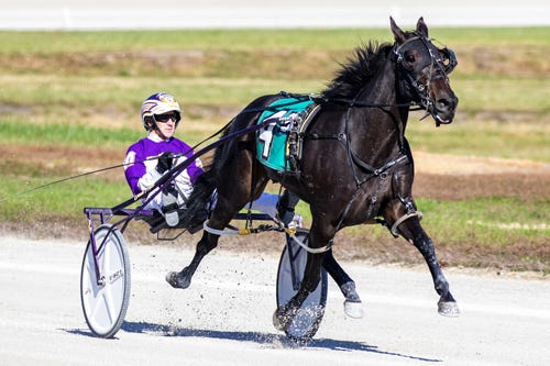 Cumberland Run: Burke takes both of Sunday's Kentucky Sires Stakes finals