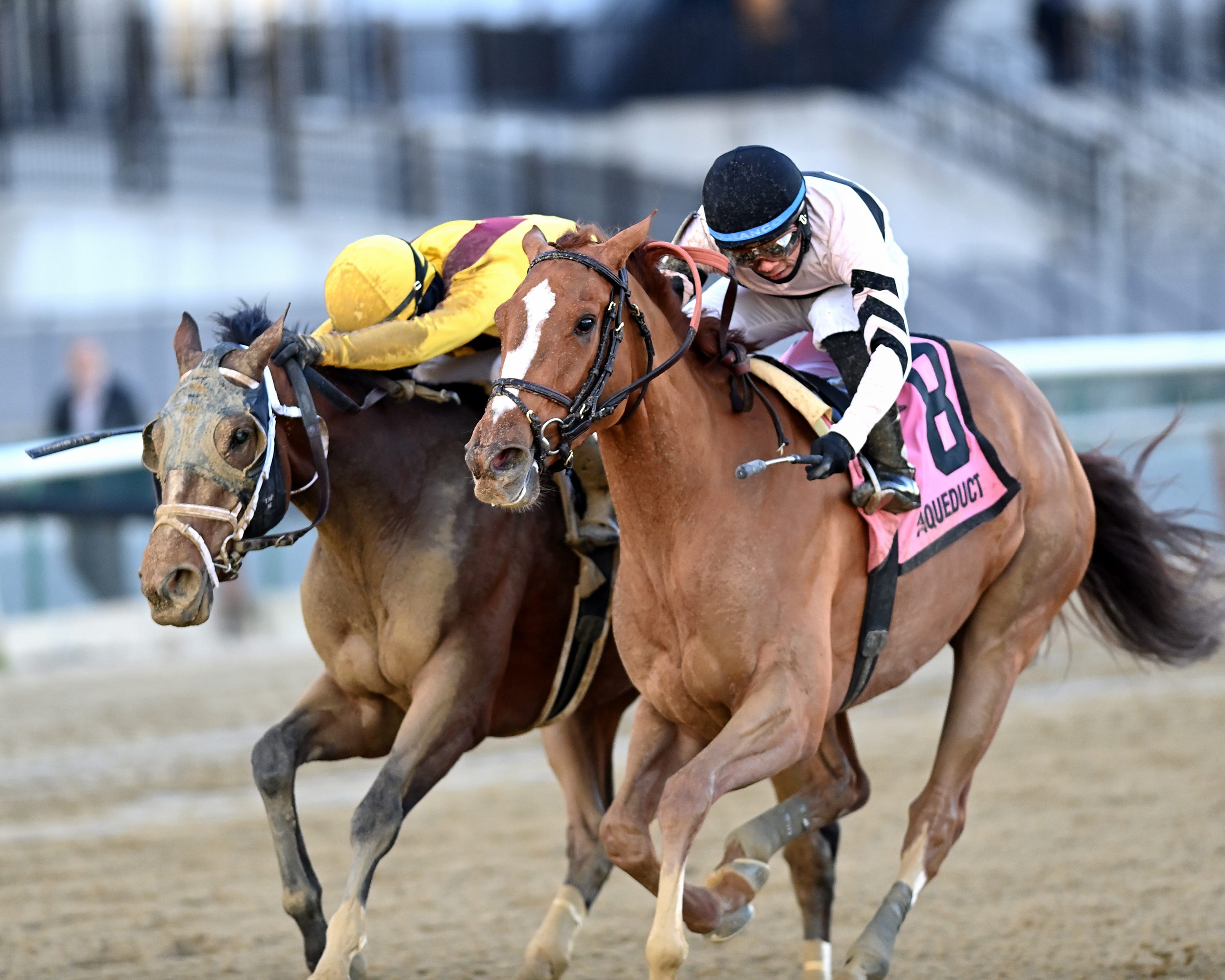 Raging Sea repels Julia Shining to take Comely