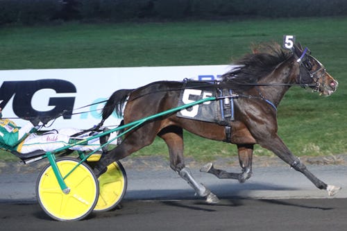 Meadowlands: Tetrick-driven duo deliver in Goldsmith Maid elims