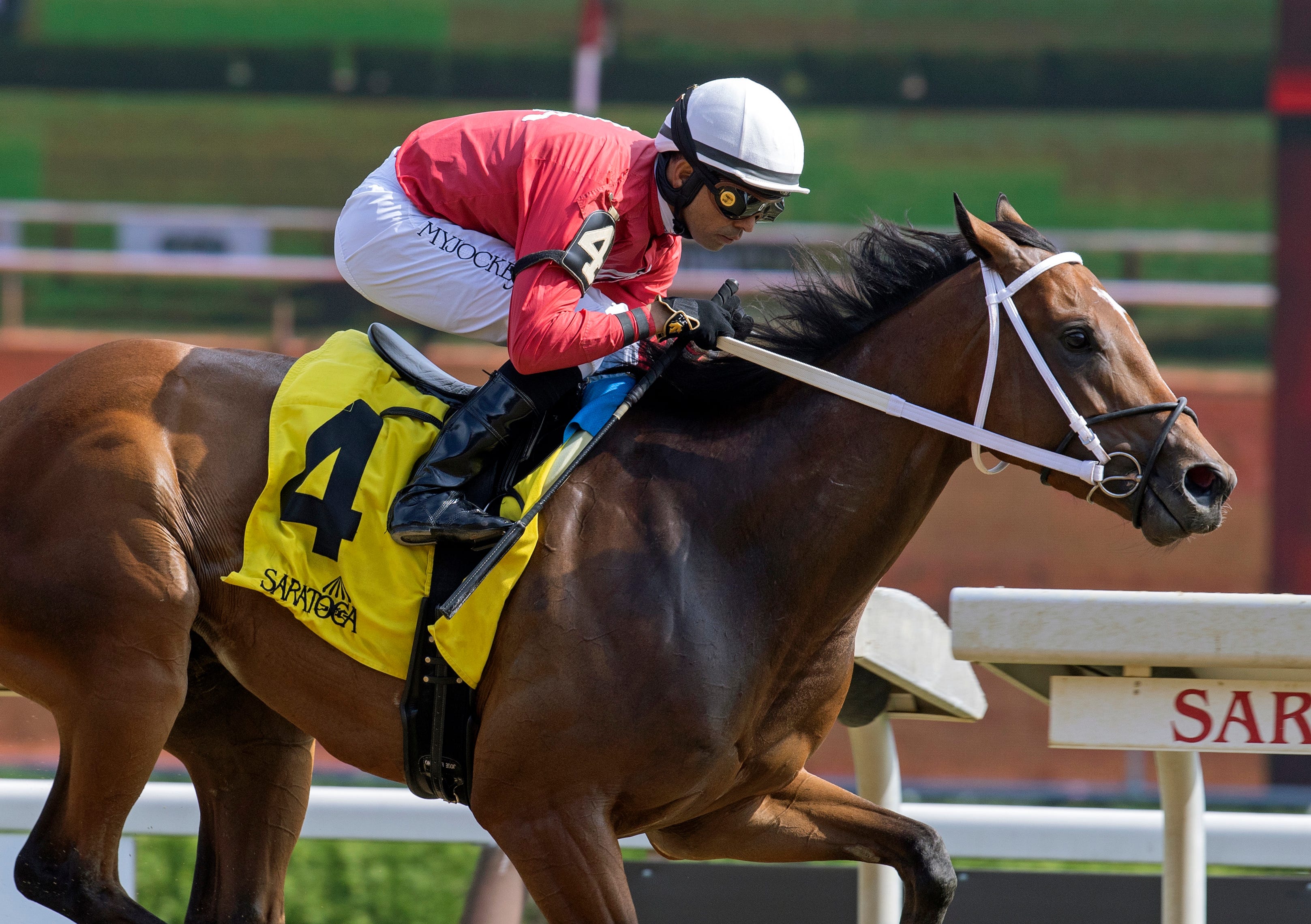 Alva Starr, Vahva to pass on La Brea, aim for other races