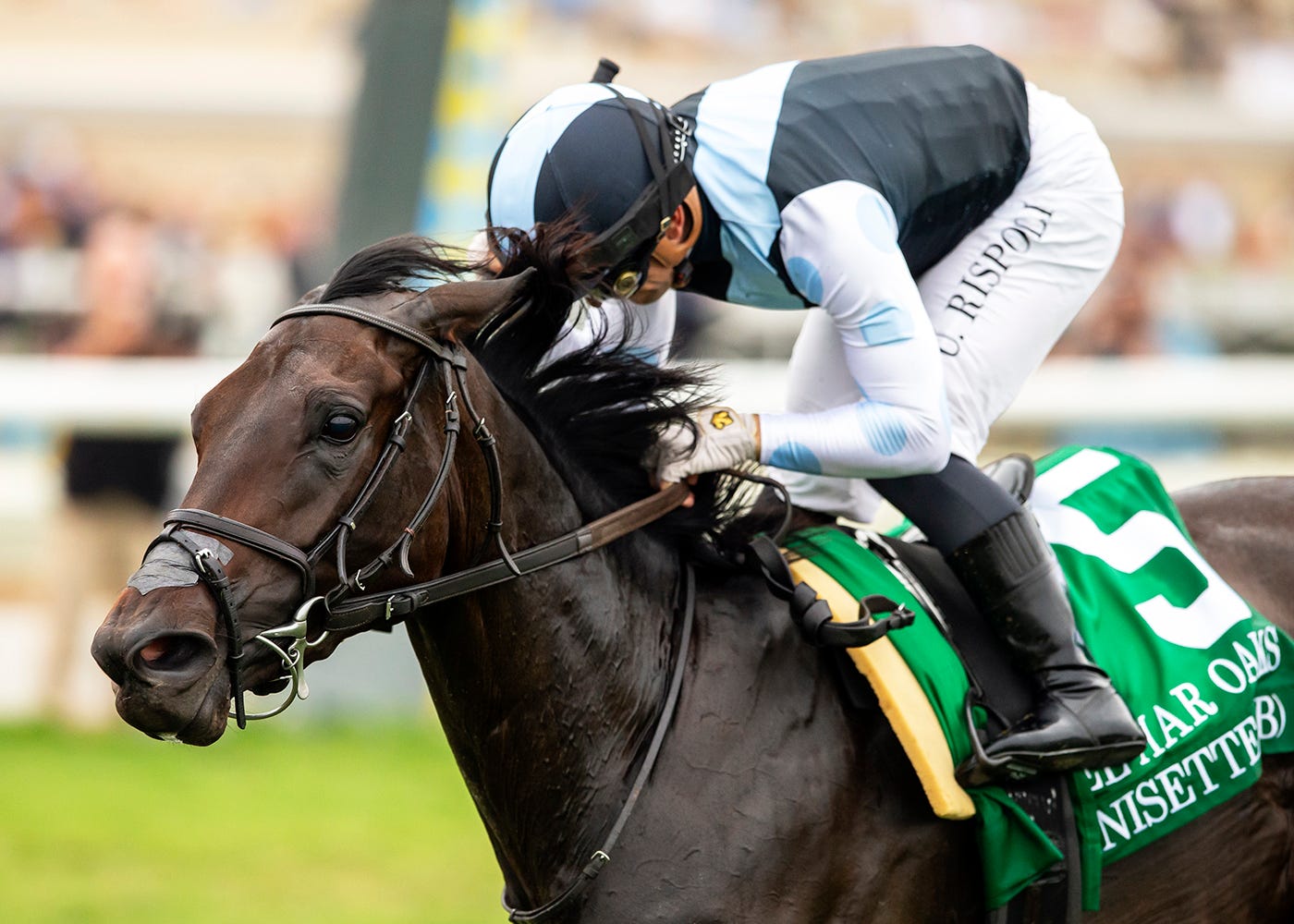 Anisette figures heavy favorite in American Oaks