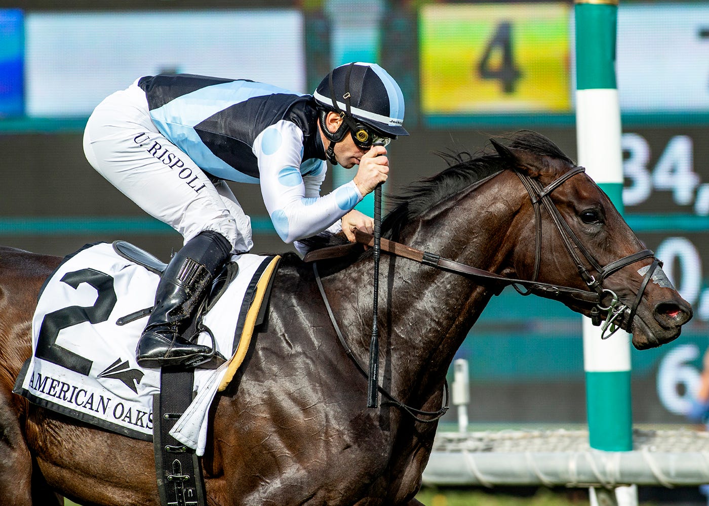 Powell gearing up Air Force Red, Anisette for Memorial Day Grade 1s