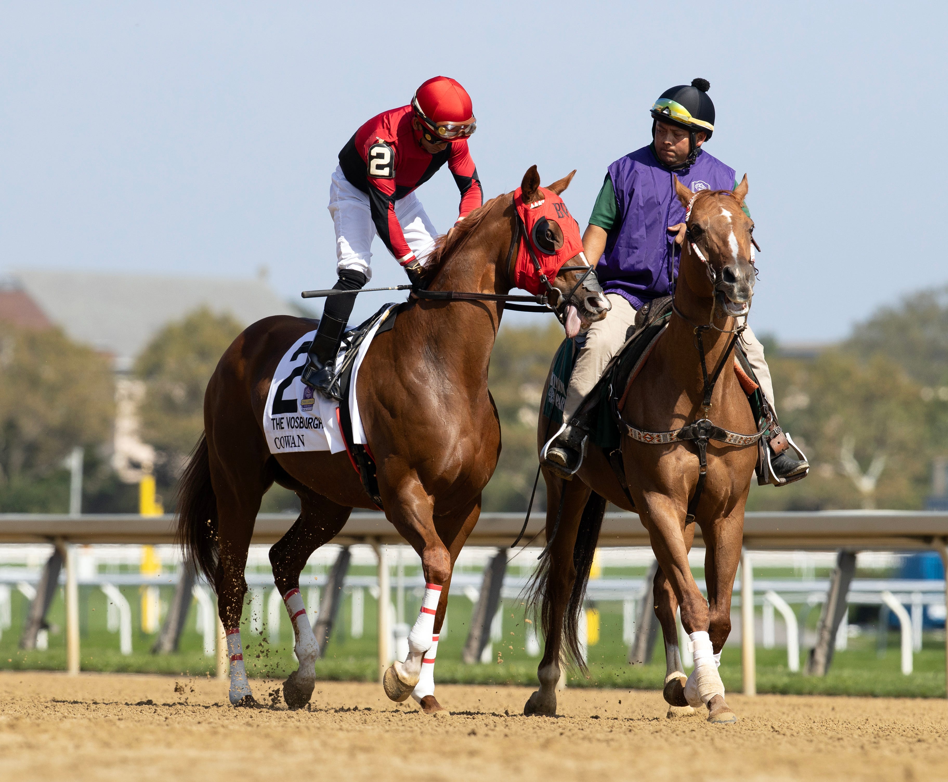 Stakes-quality Cowan gets in under allowance conditions