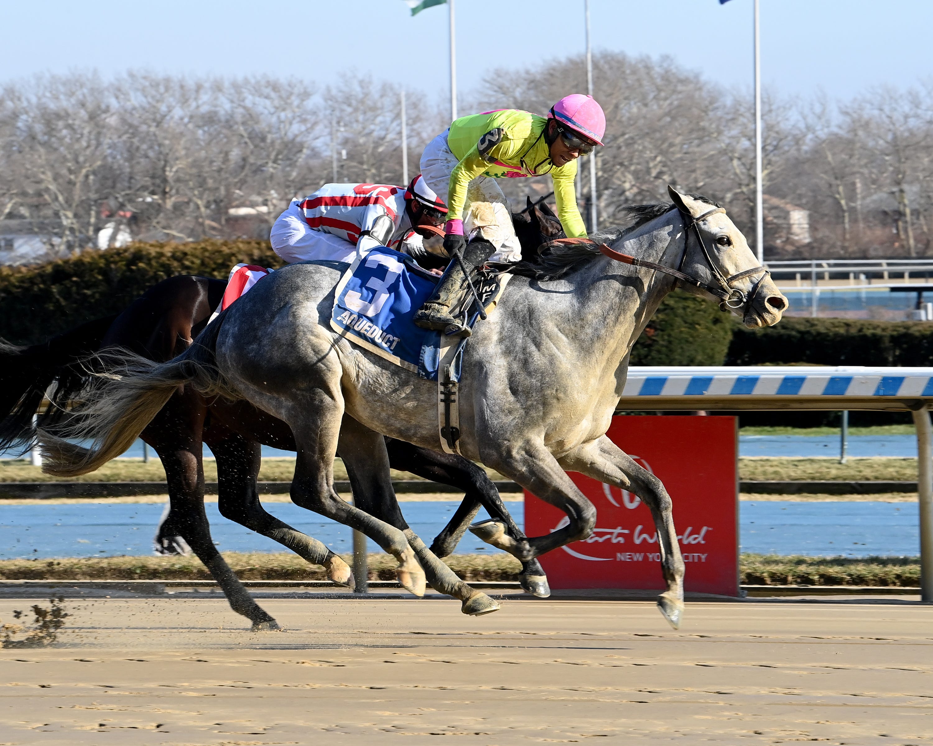 Dr Ardito collars stablemate to win Alex M. Robb