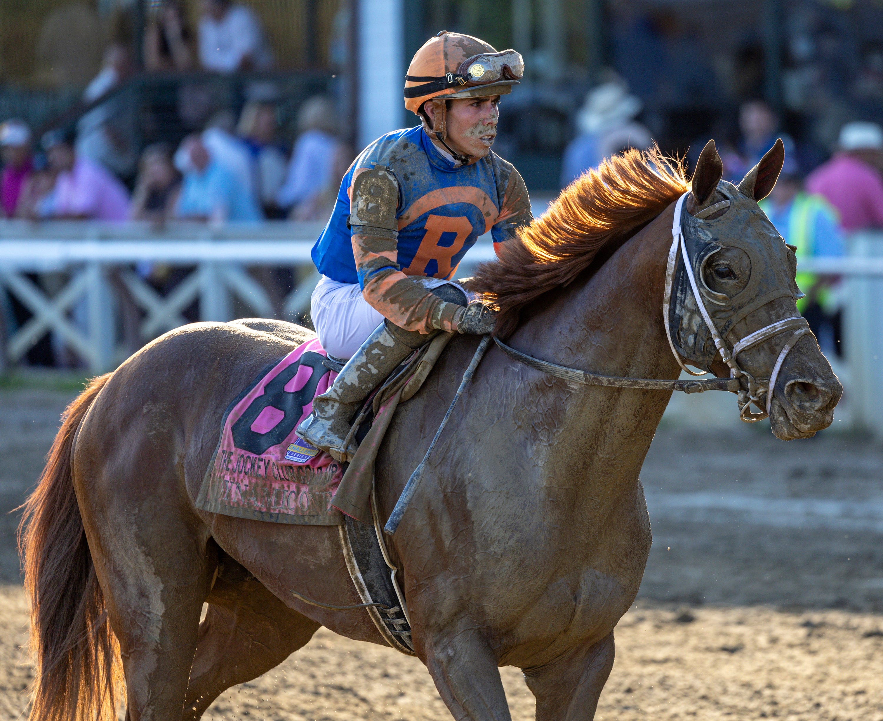 Dynamic One a new invitee to Pegasus World Cup