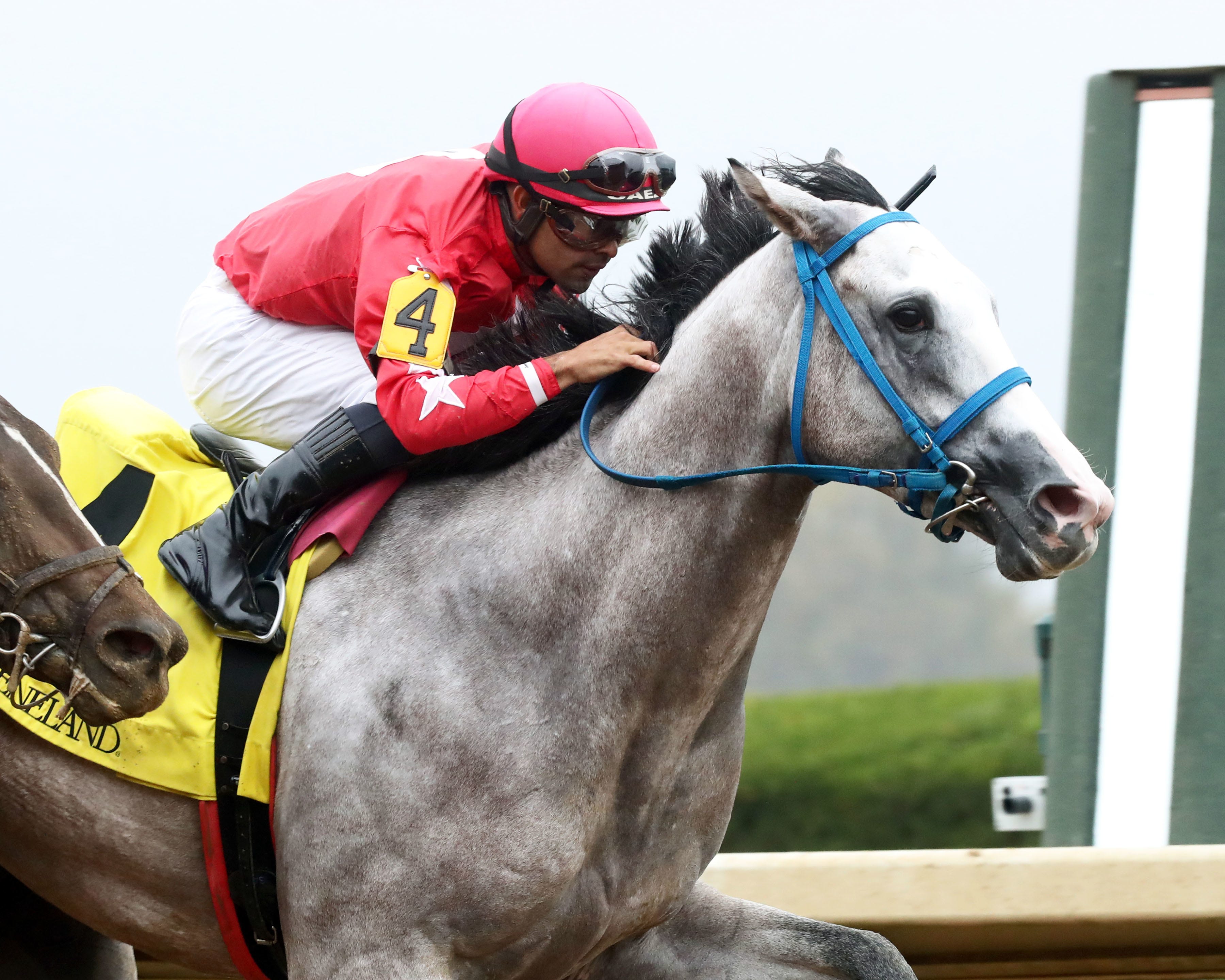 Glengarry gives two turns a try in Springboard Mile