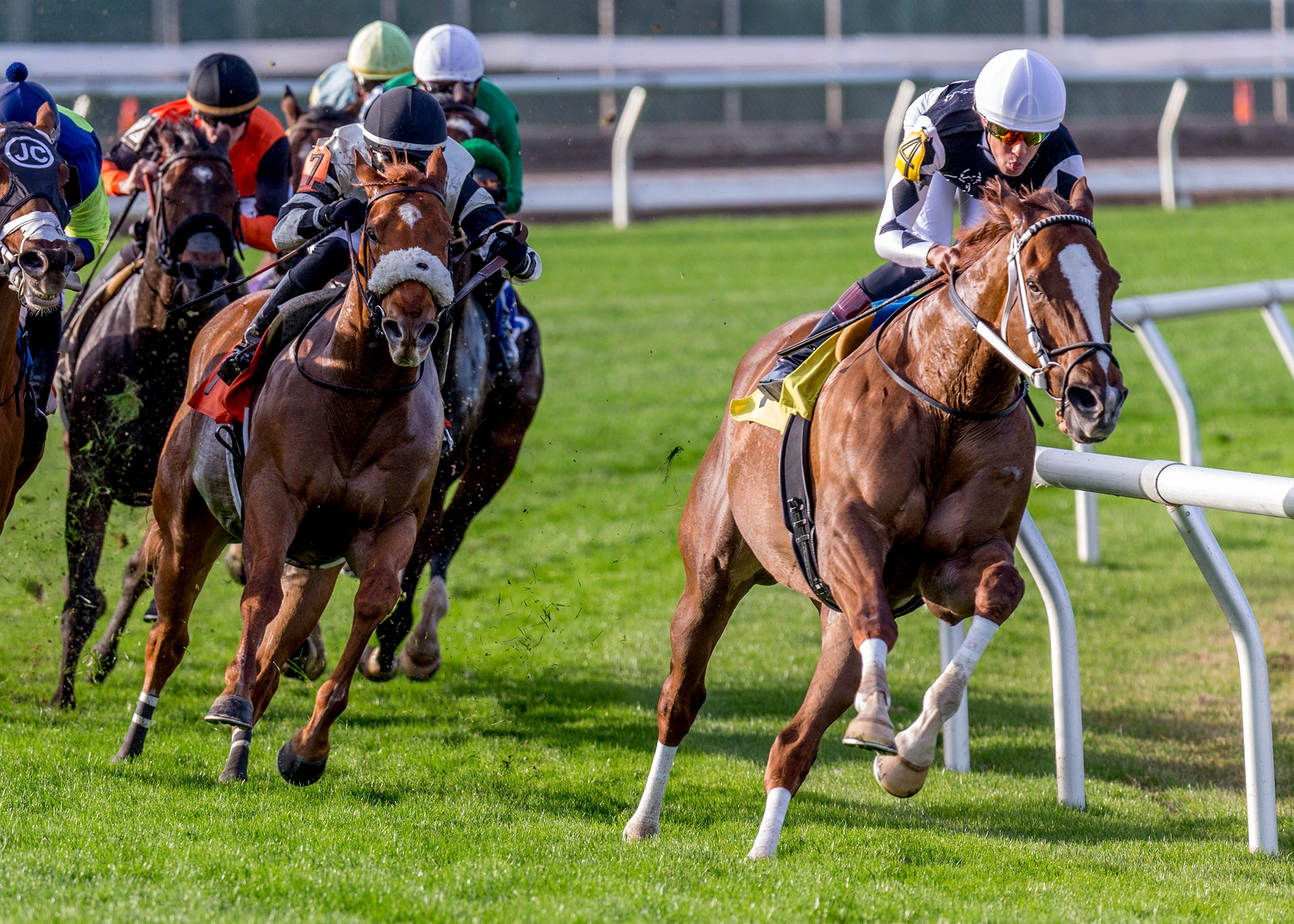 Two Emmys shows solid form with Buddy Diliberto Memorial Stakes victory