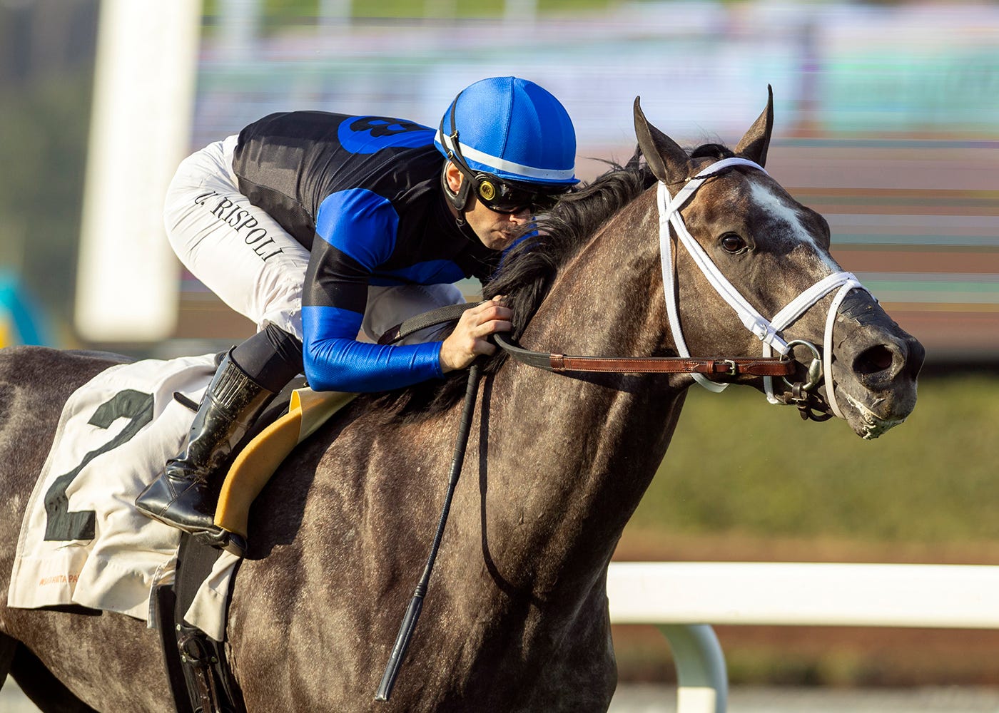Lord Bullingdon finds room, pulls clear in Eddie Logan Stakes