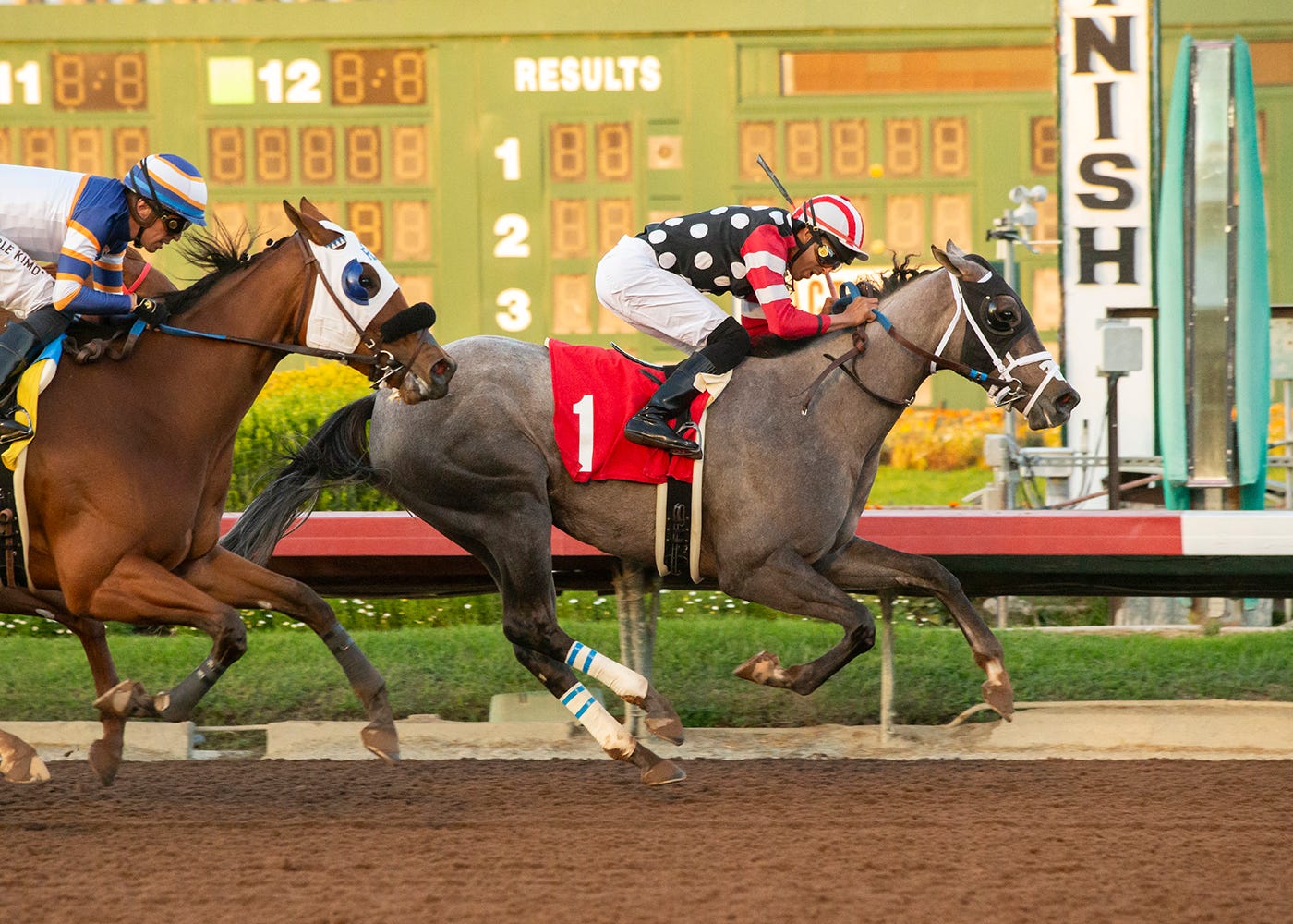 Madison Rae leads the way in Soviet Problem Stakes