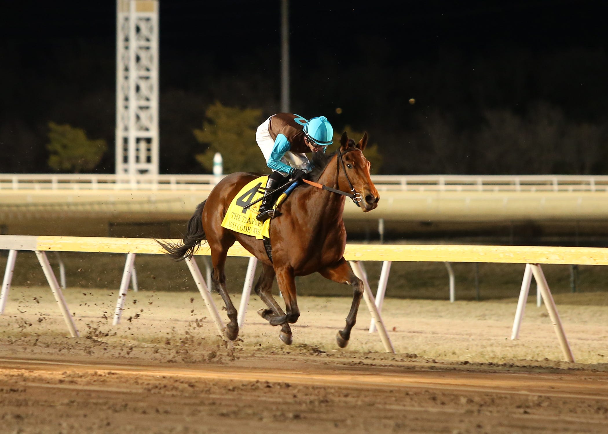 Miss Code West romps over muddy track in Trapeze Stakes