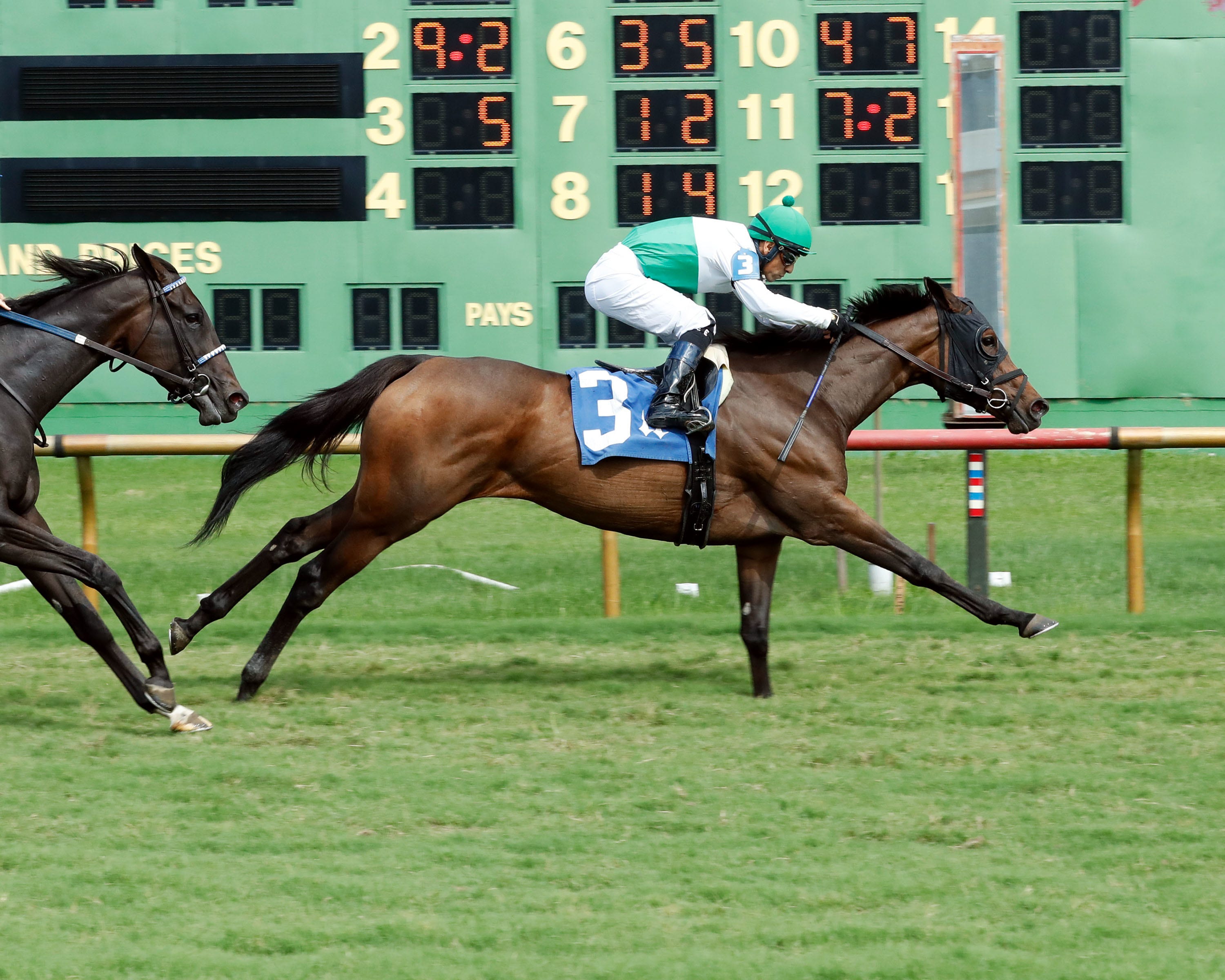 Kentucky newcomer Conner gets aboard Mouffy for My Charmer