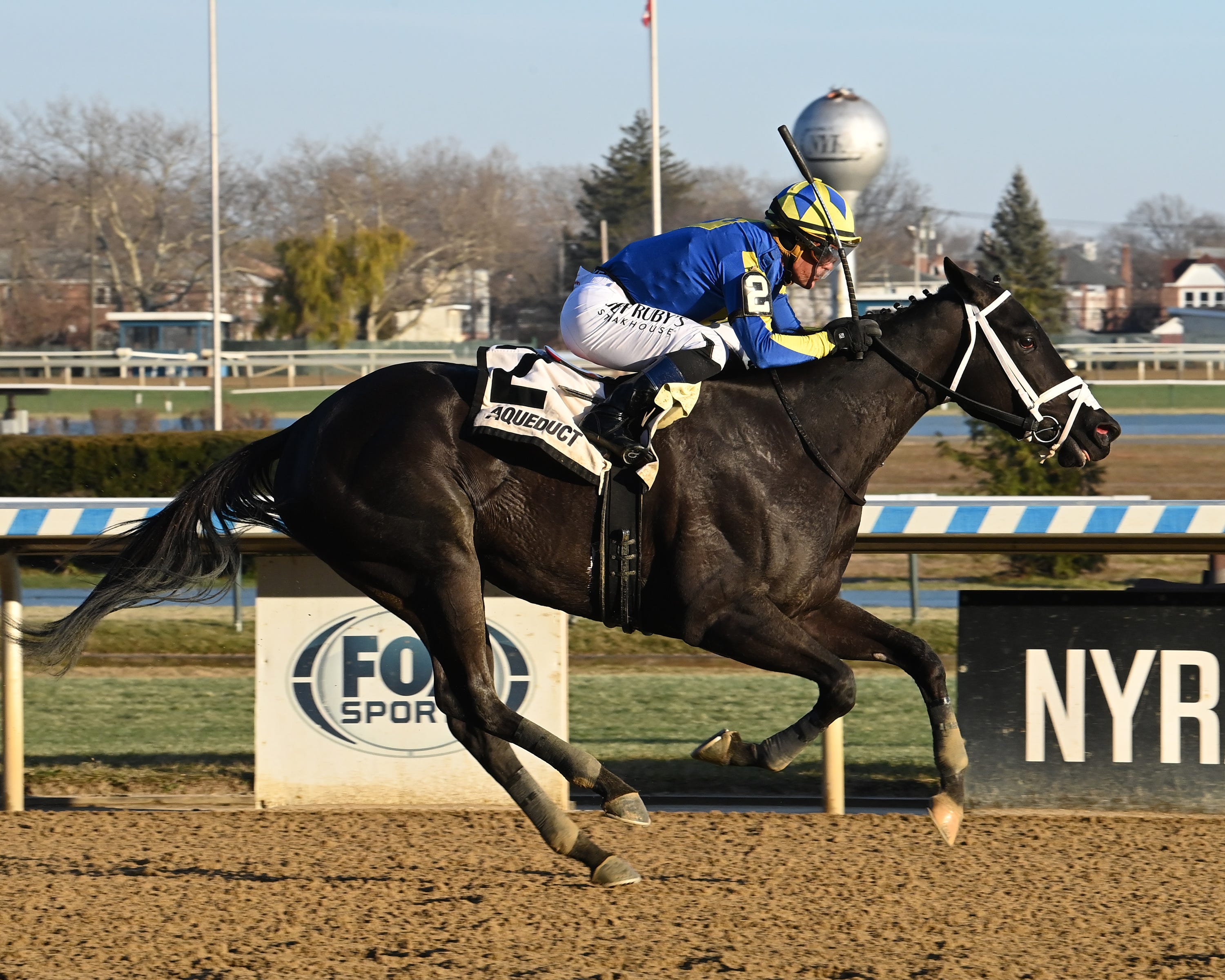 My Shea D Lady spurts clear in Fifth Avenue division of the N.Y ...