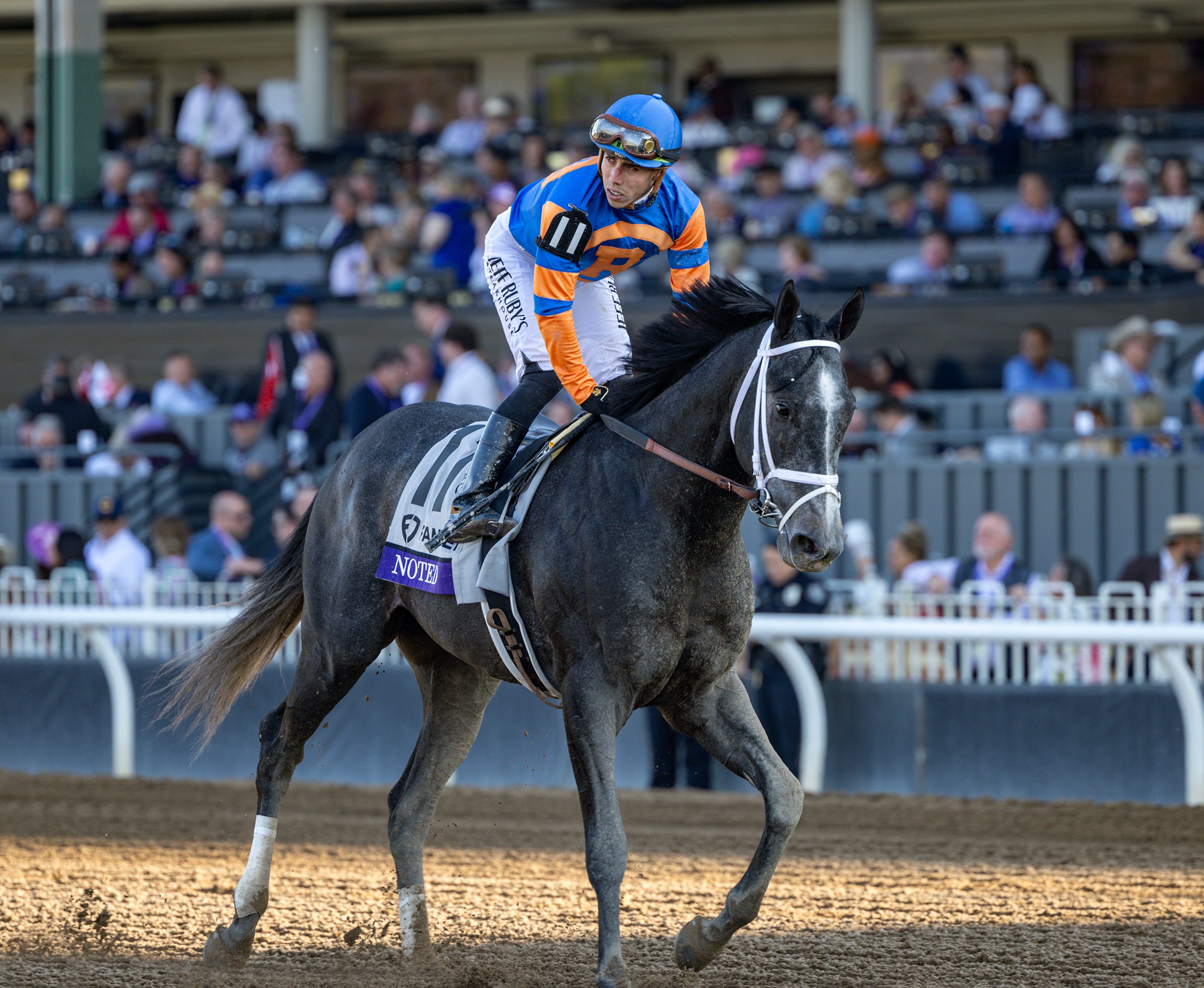 Noted returns to grass in Pulpit after Breeders' Cup disappointment