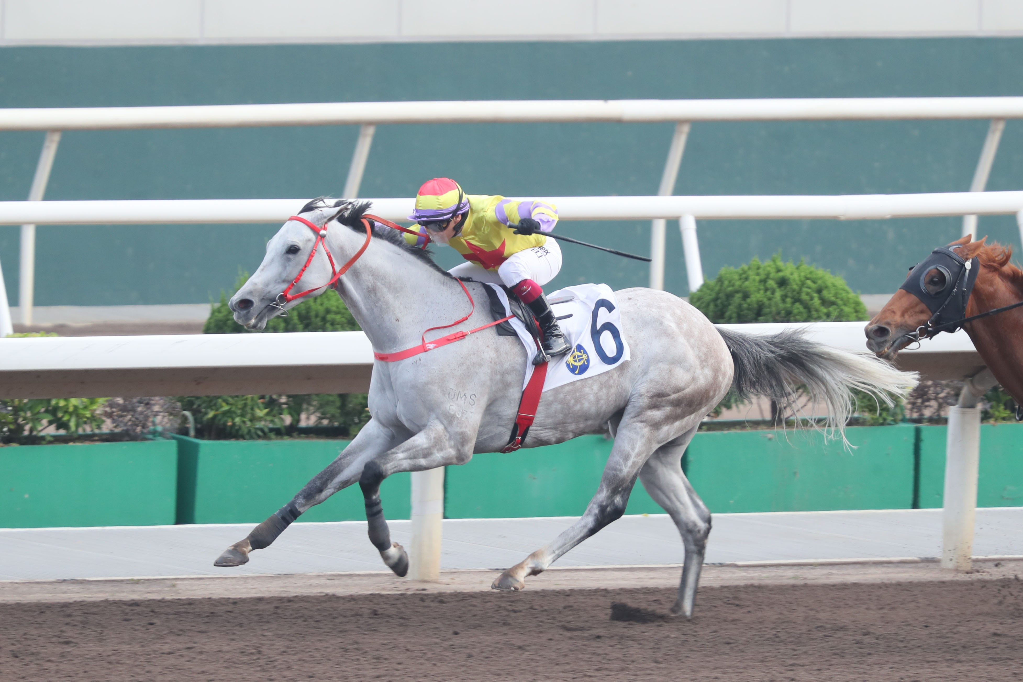 Alexis Badel hopes for a Ping Hai Galaxy encore