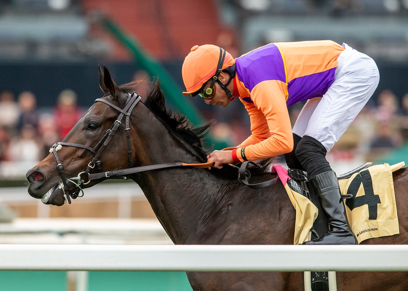 Ruby Nell has no trouble with Lady of Shamrock Stakes