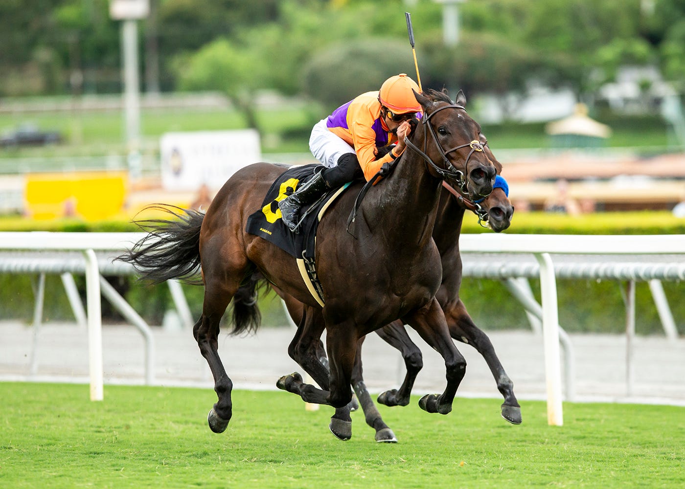 Ruby Nell stands out in Lady of Shamrock Stakes