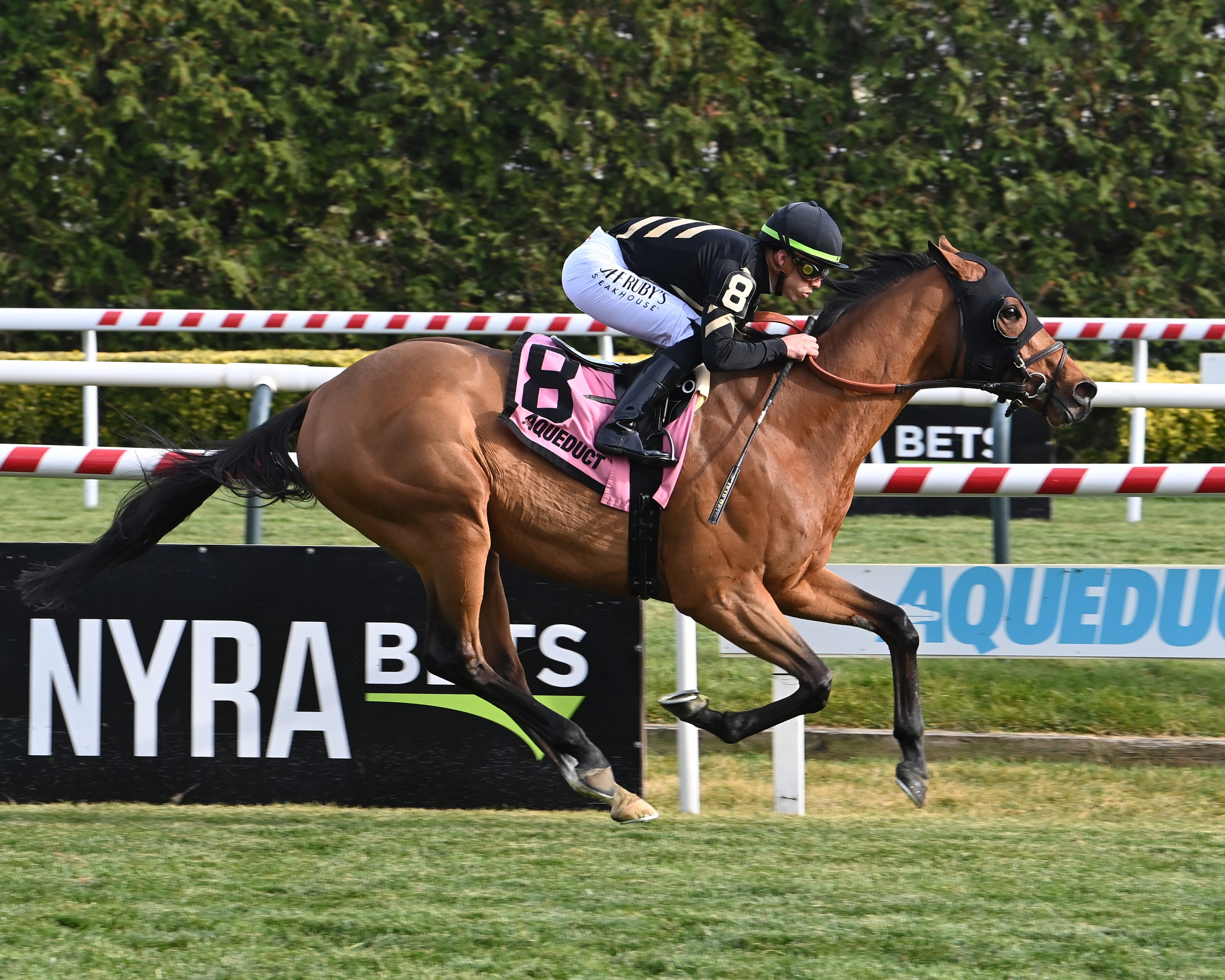 Running Bee looks to prove he belongs in Fort Lauderdale