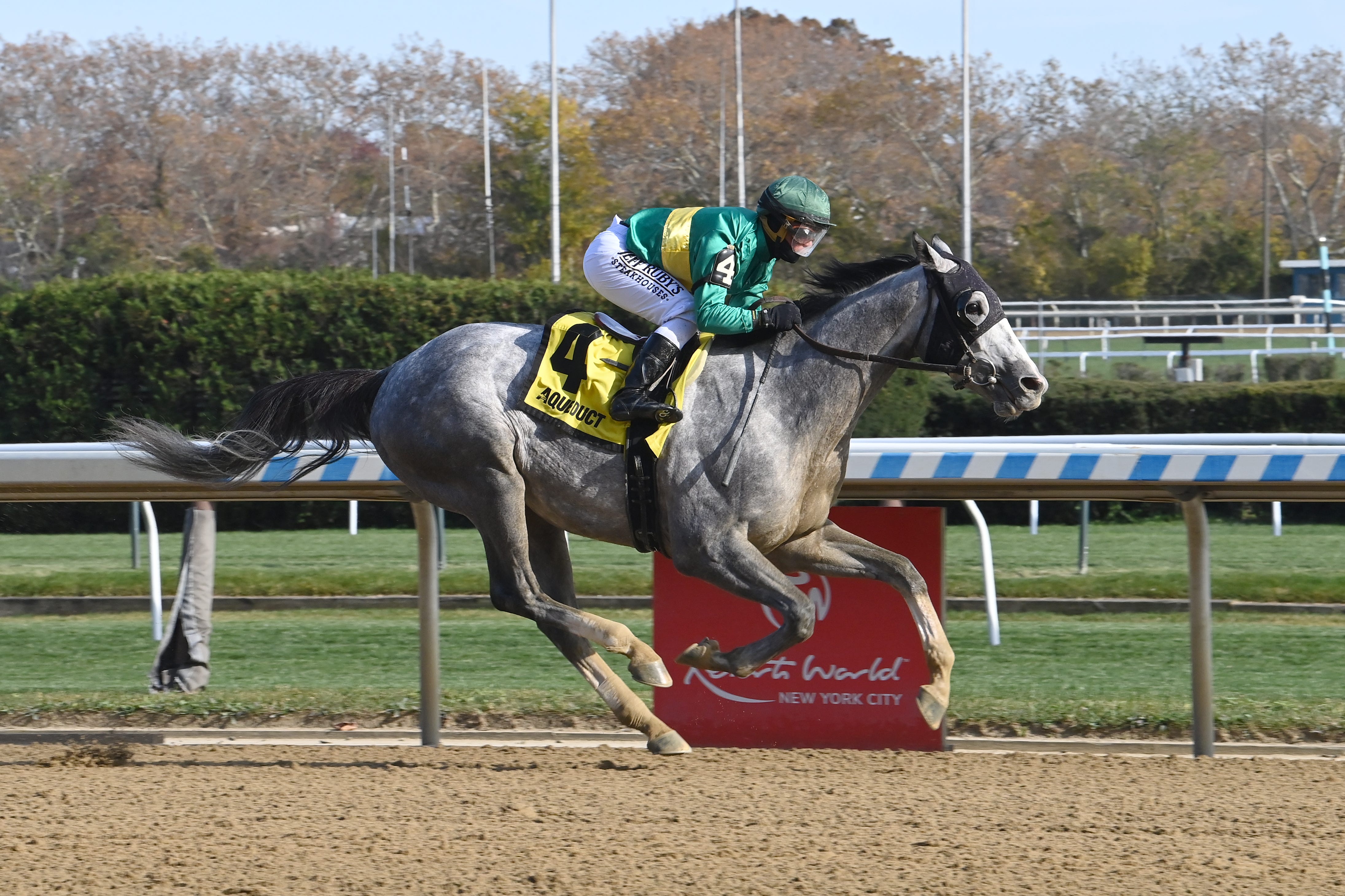 Signator more suited to Queens County