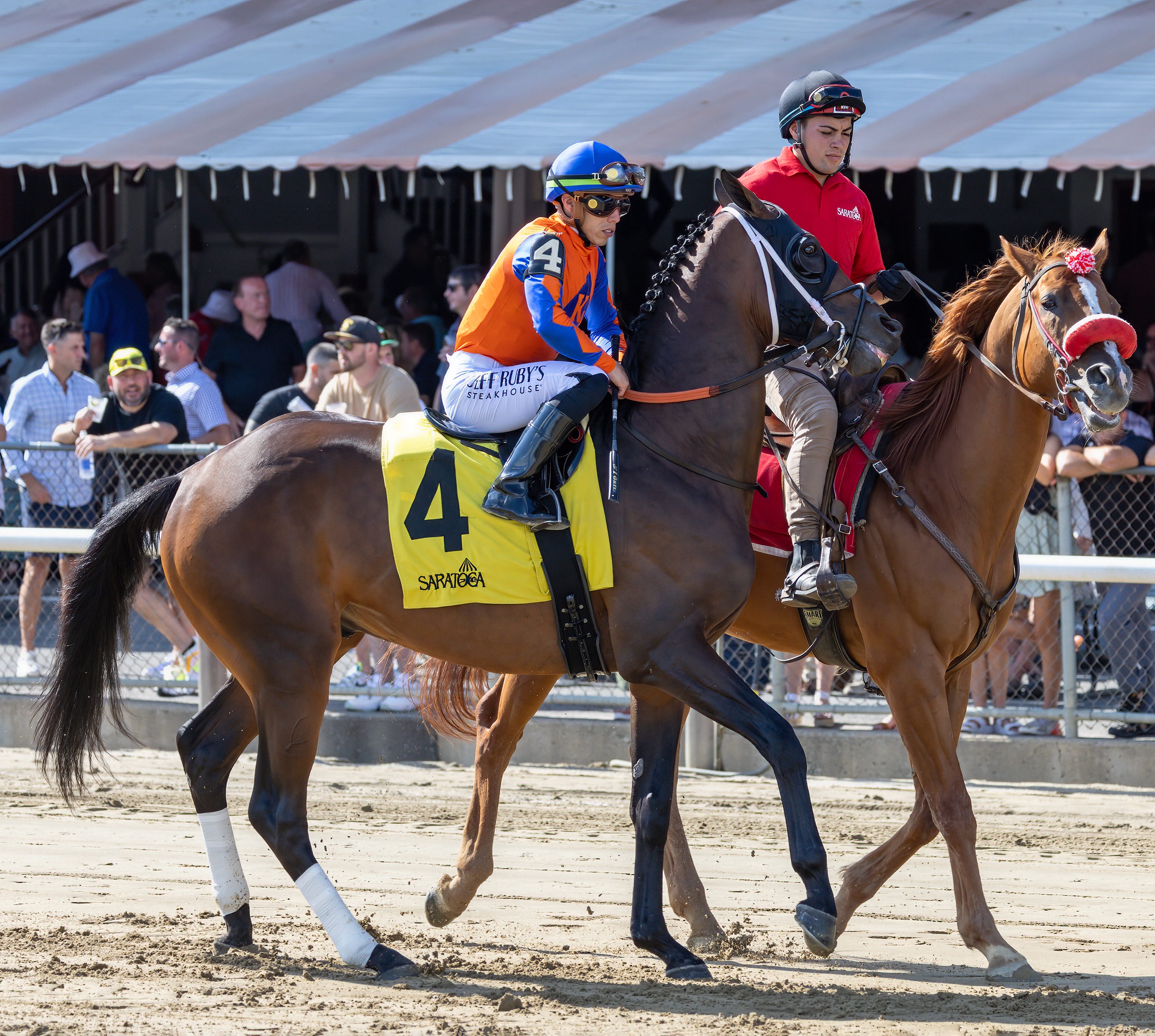 Speed Bias knocking on the door for stakes win in Tinsel