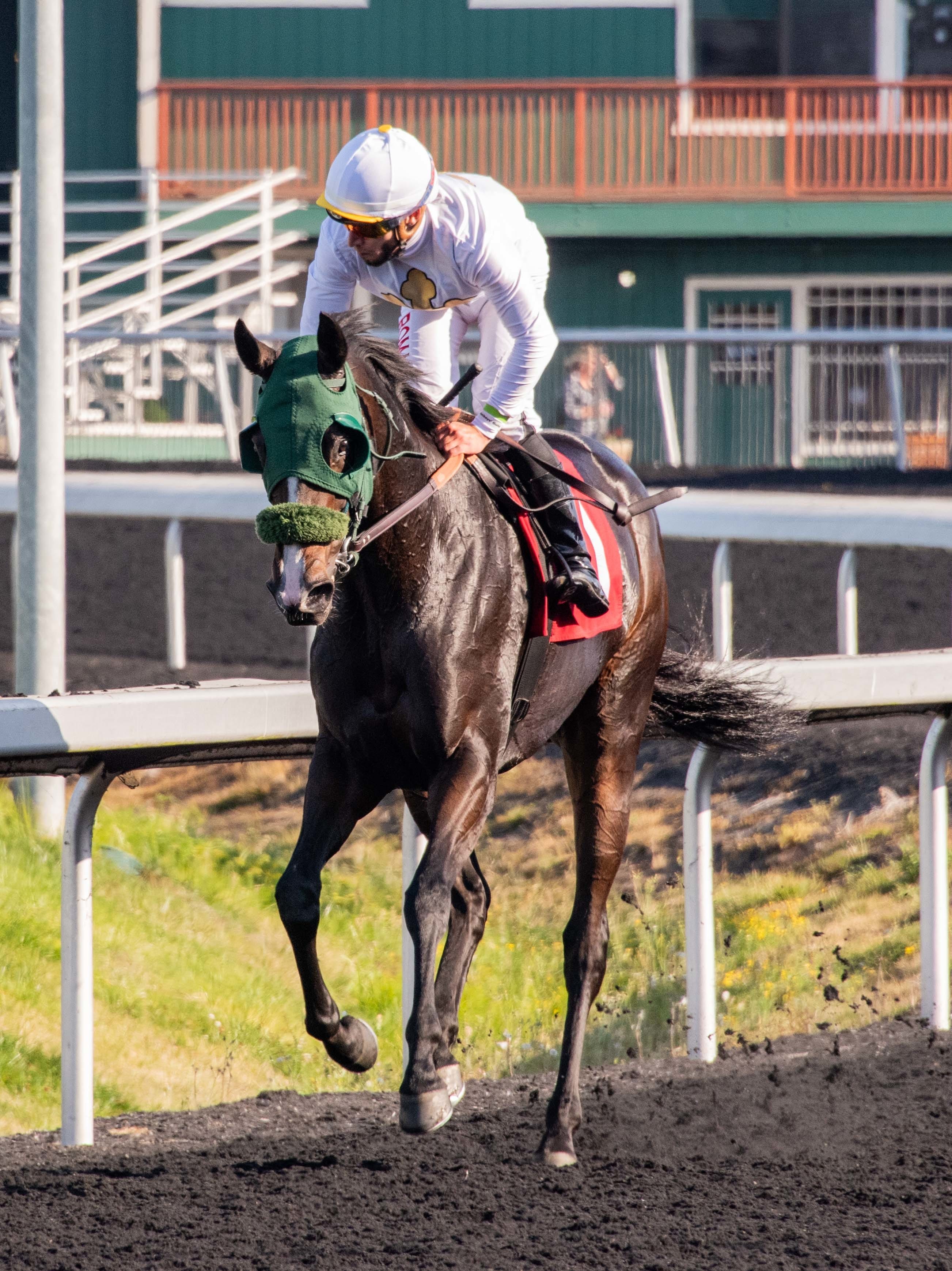 Top Northern California trainer Jack Steiner to take extended break