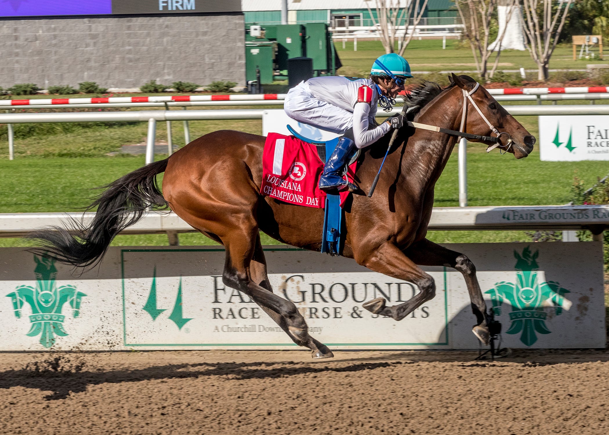 Touchuponastar leads start to finish in Champions Day Classic