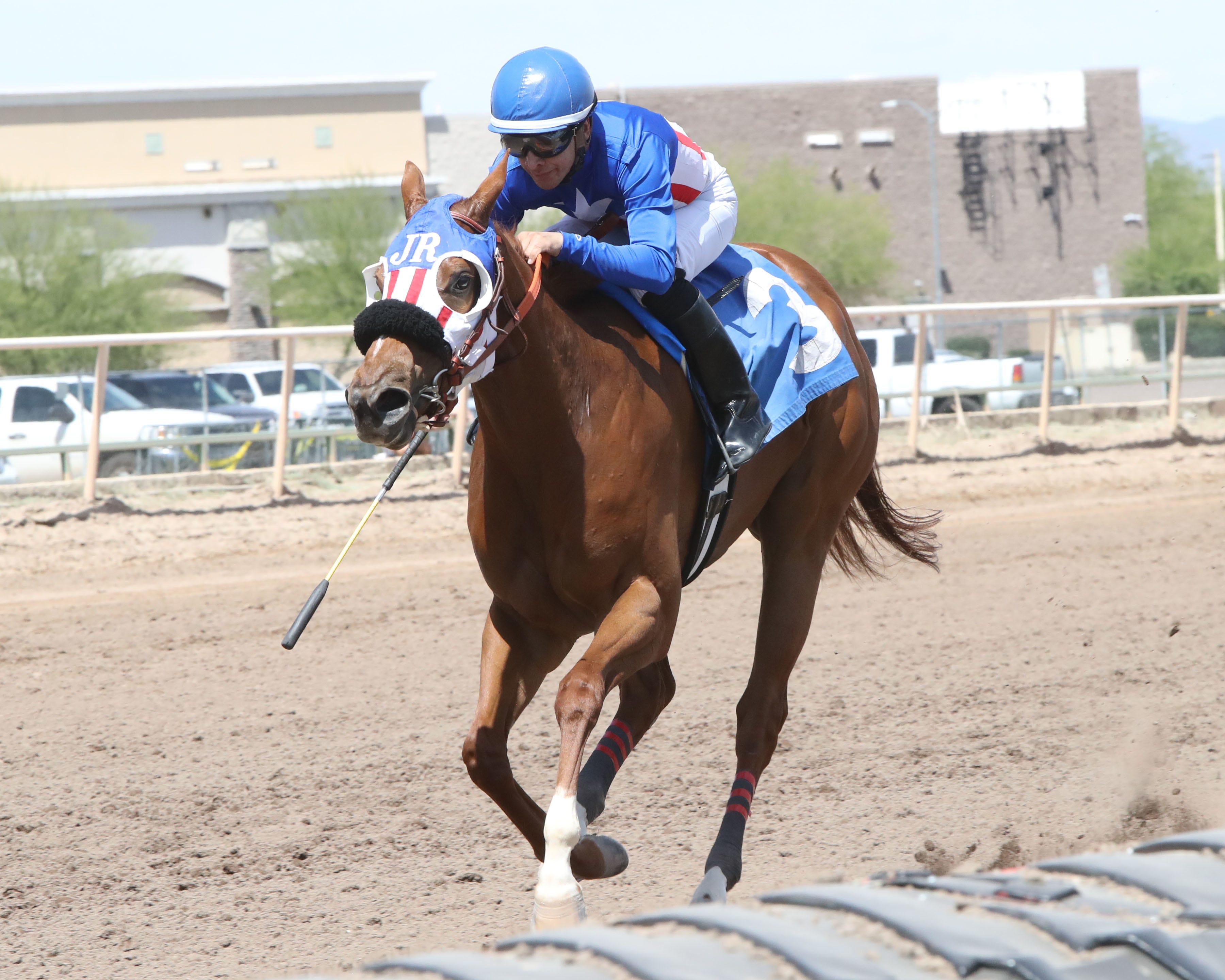 Evans holds strong pair in Jeff and Jack Coady Sr. Stakes