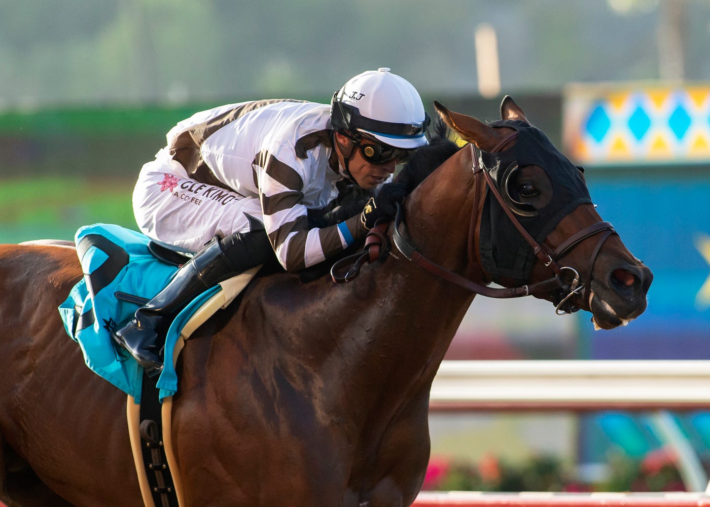 Mandella says Big City Lights could start in Palos Verdes Stakes