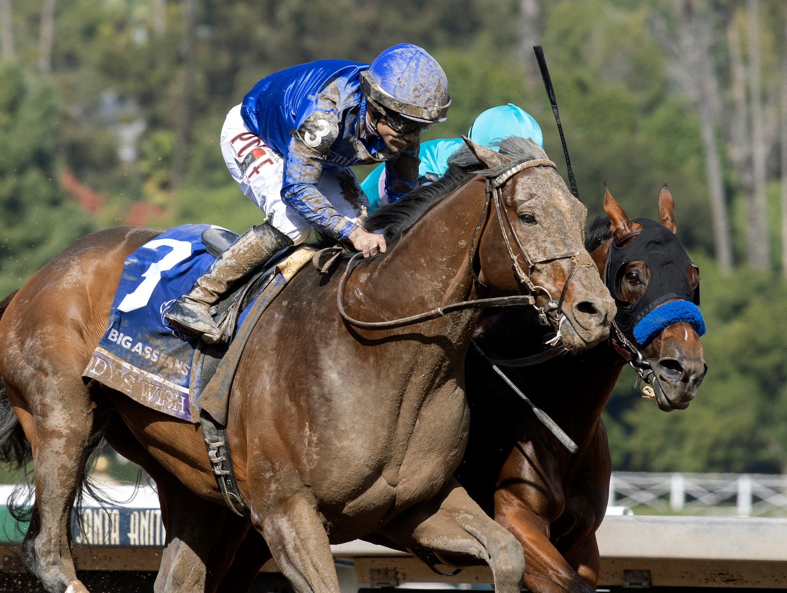 2023 Eclipse Awards: Cody's Wish