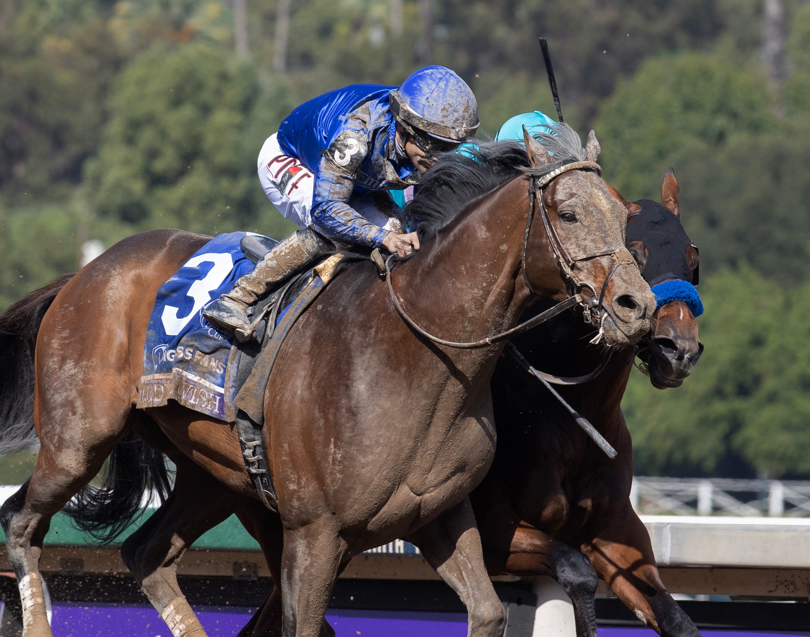 Eclipse Awards: Cody's Wish elected Horse of the Year