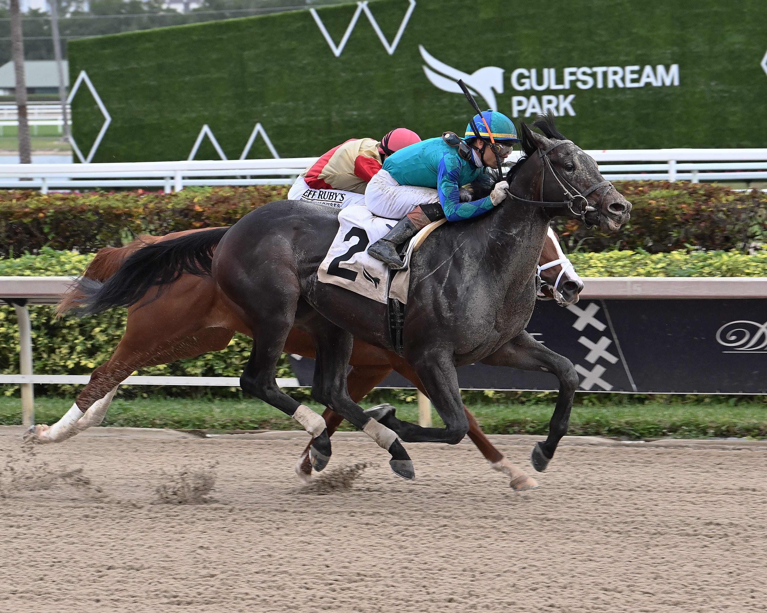 Breakout Beyers: Conquest Warrior could be serious prospect