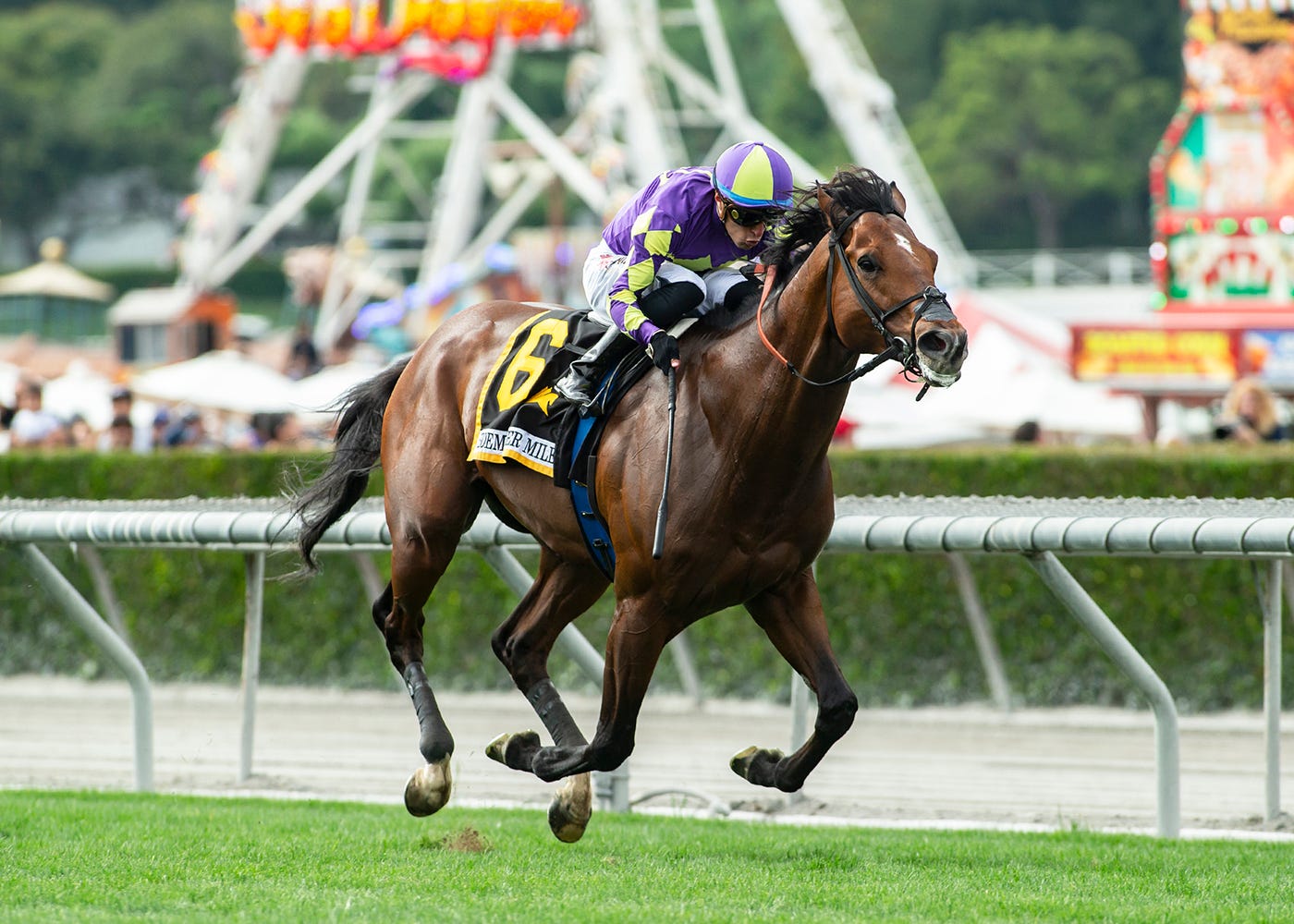 Exaulted expected to miss Kilroe Mile