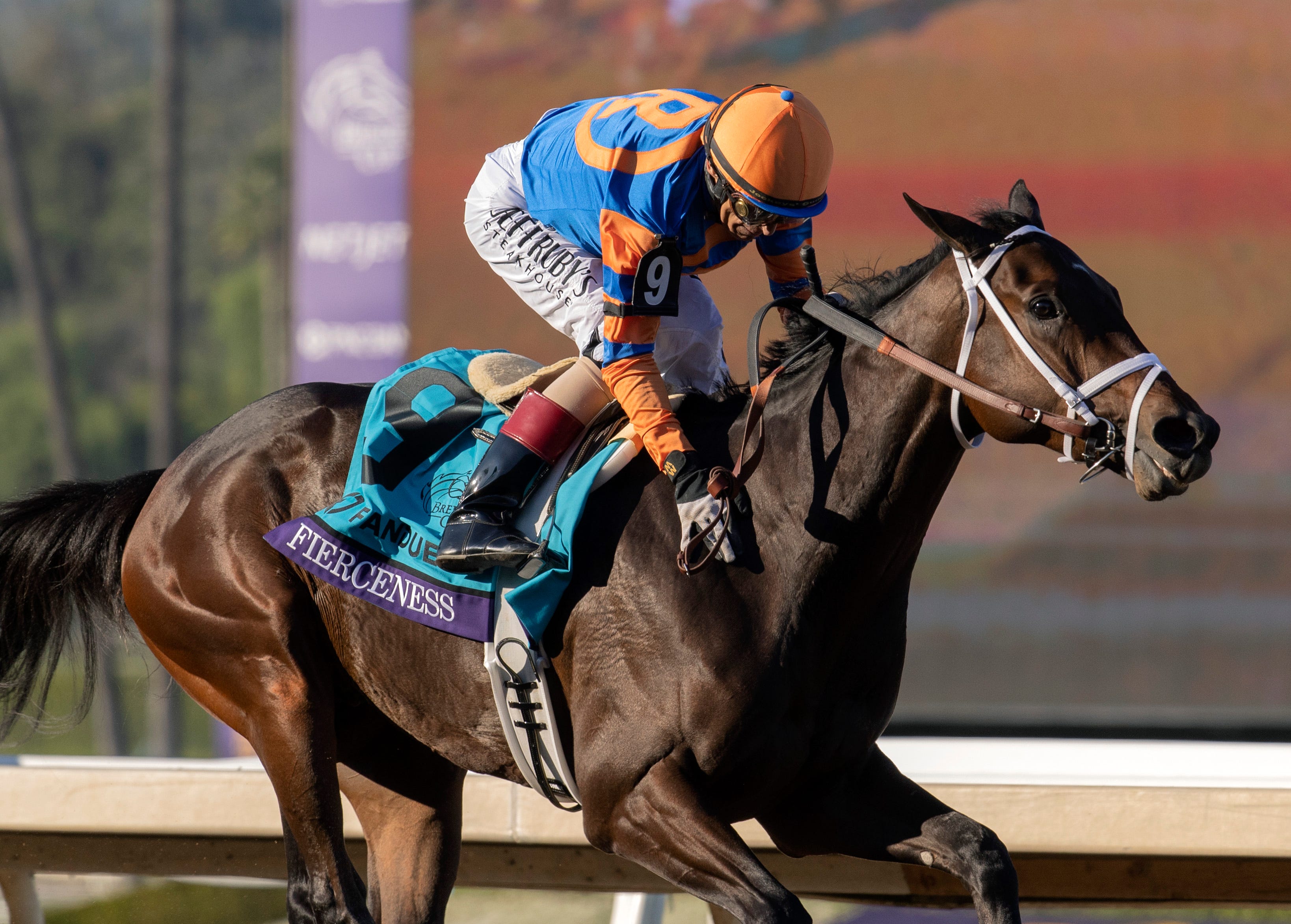 2023 Eclipse Awards: Fierceness