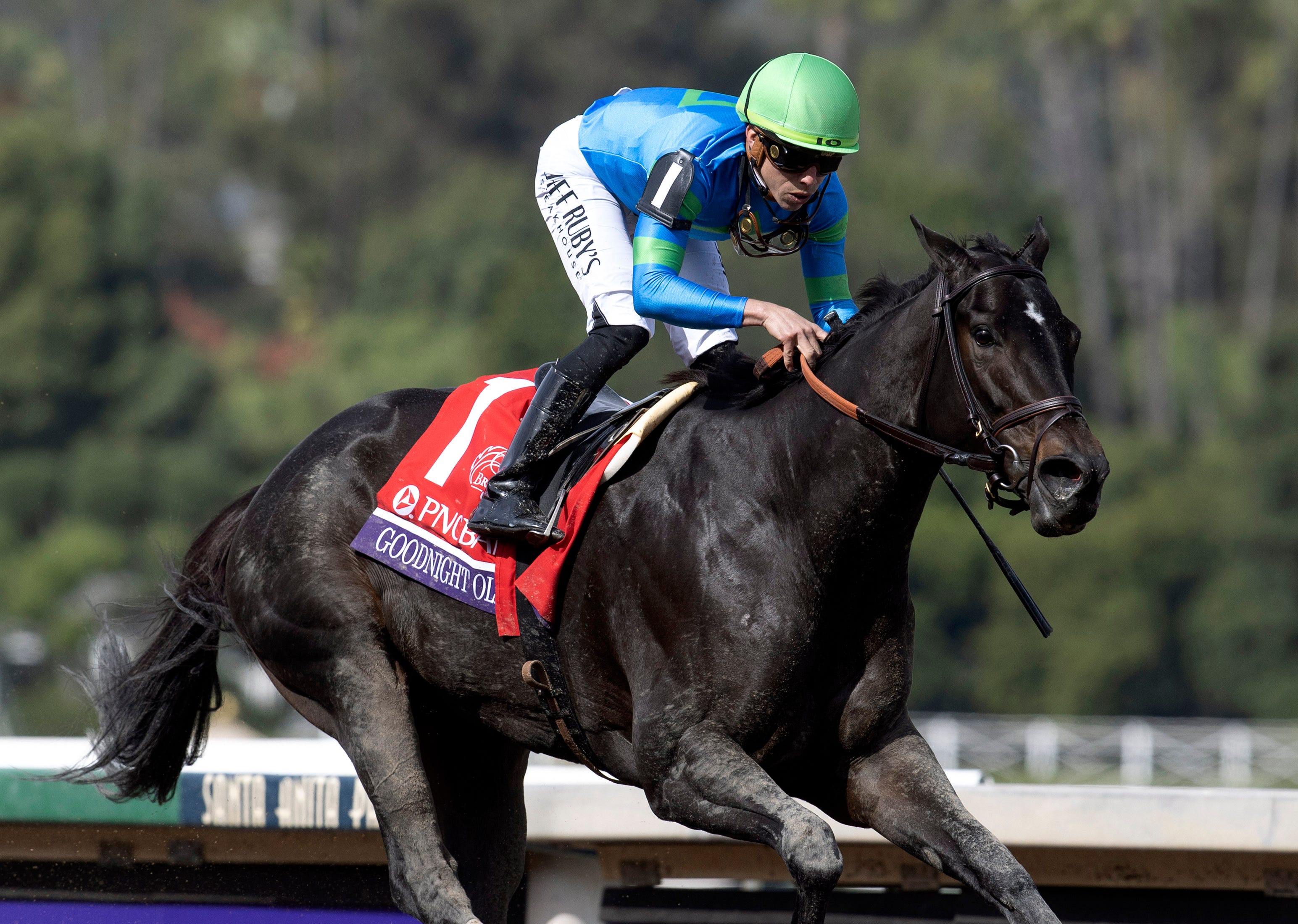 2023 Eclipse Awards: Goodnight Olive