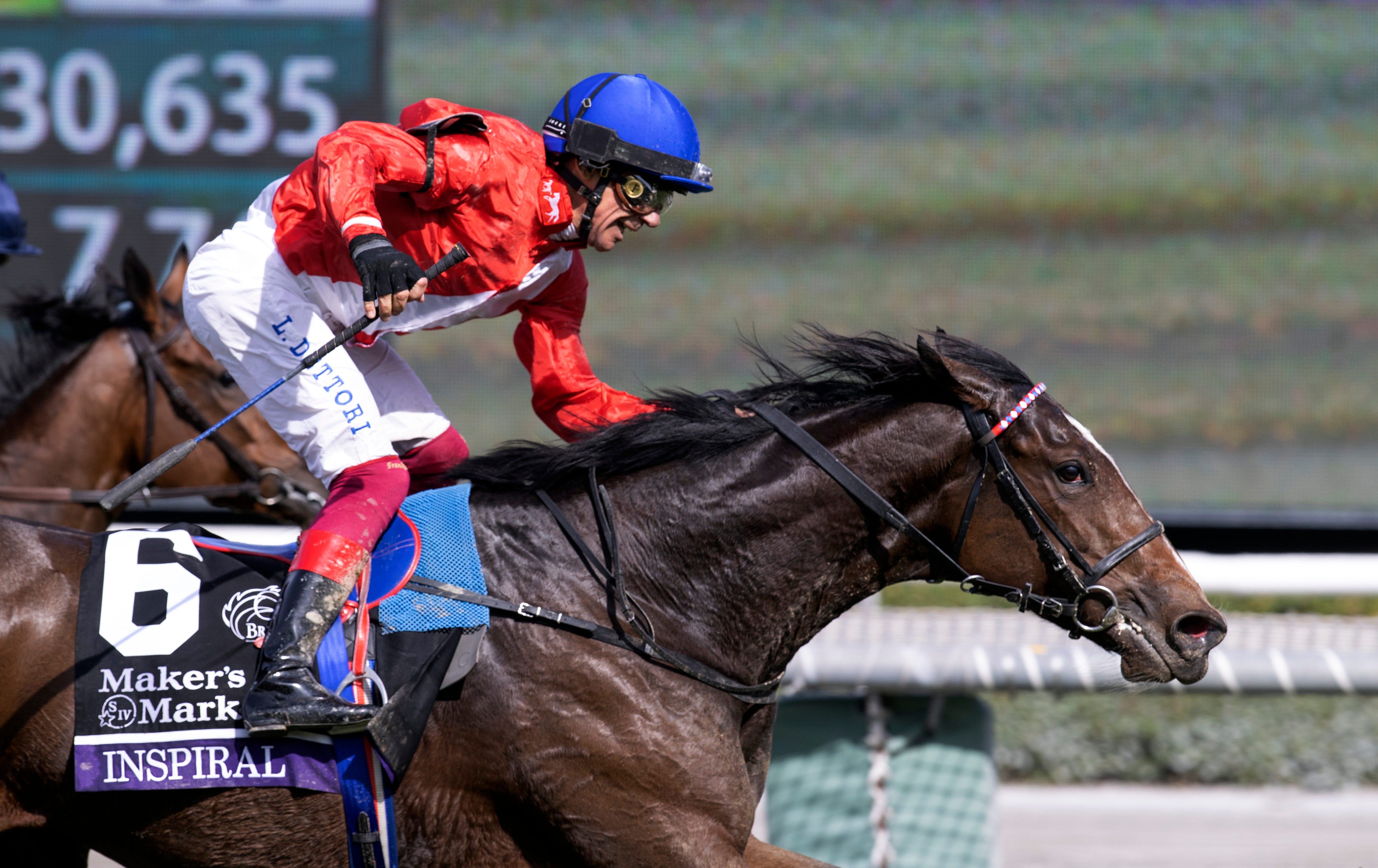 2023 Eclipse Awards: Inspiral