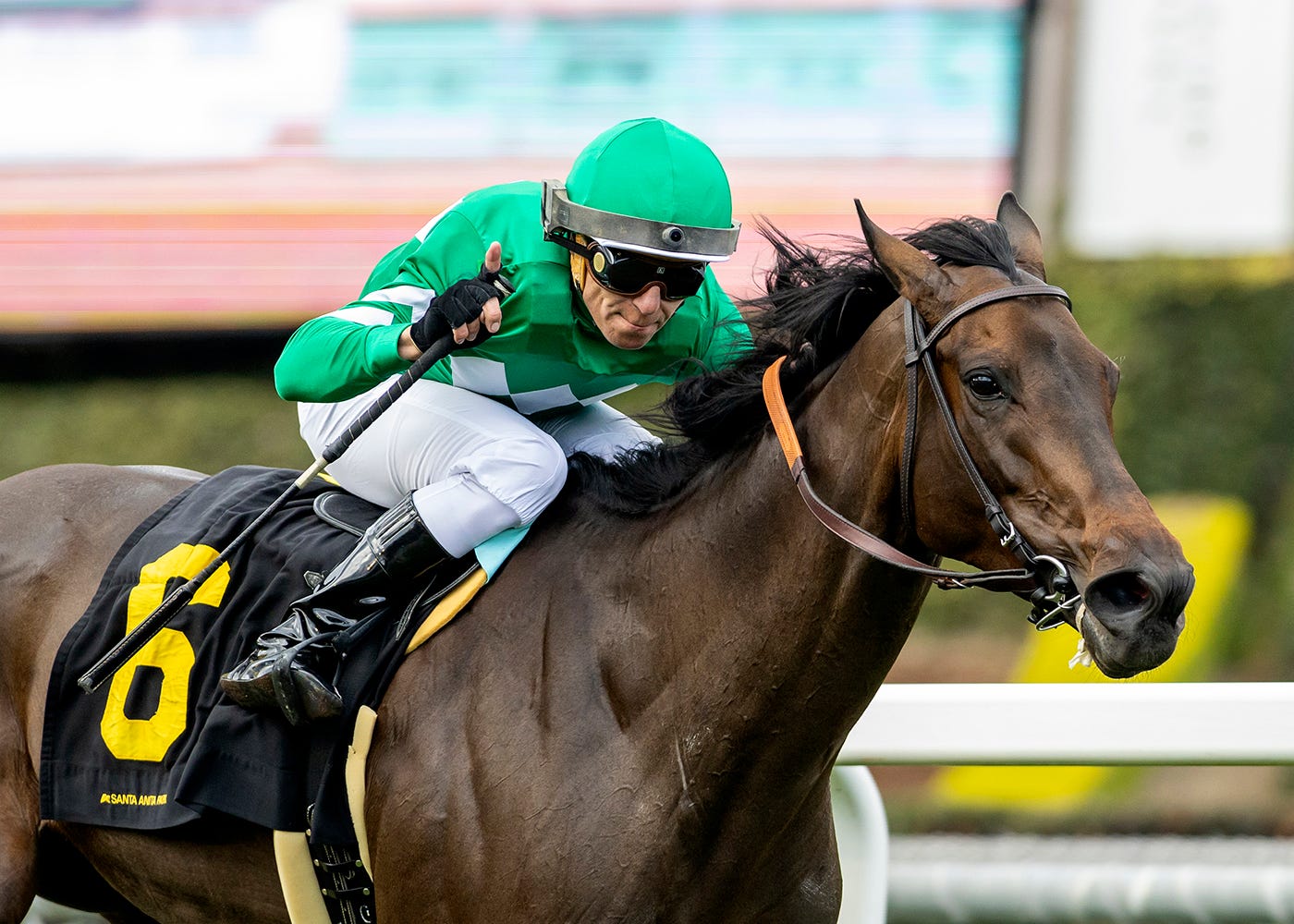 Queens Command steps up in Santa Ana Stakes
