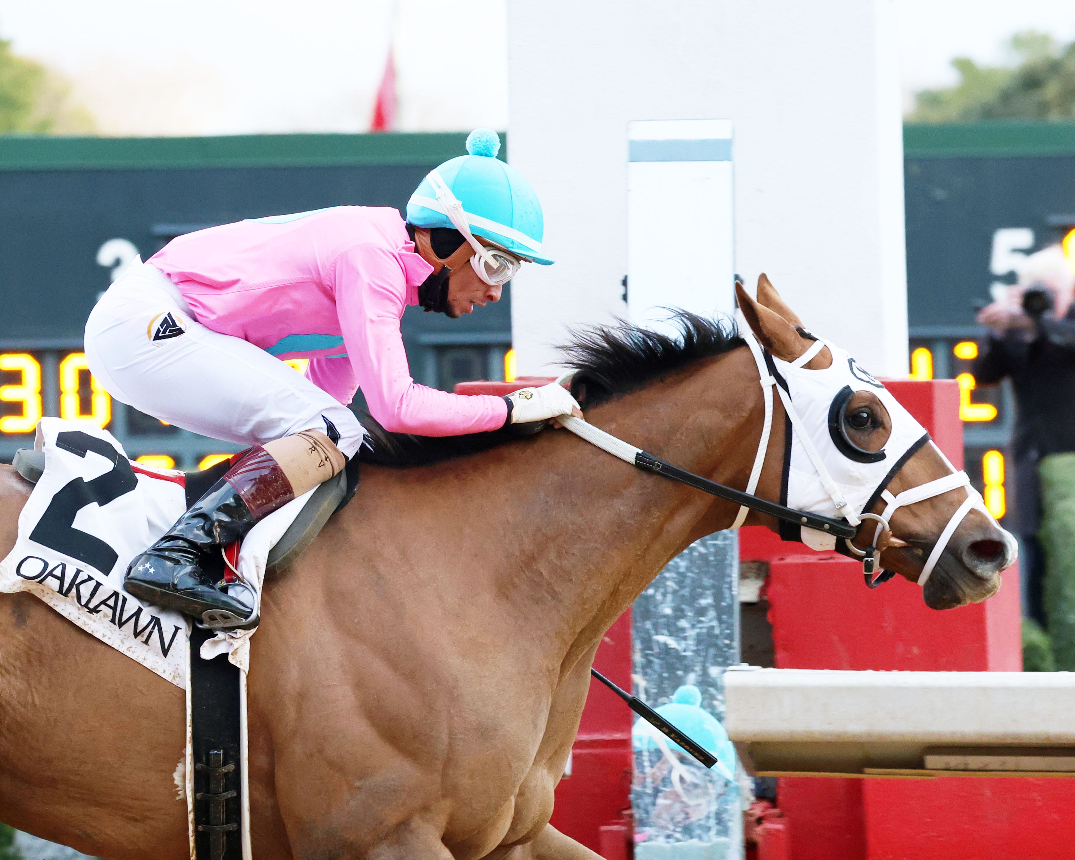 Misty Veil wins Pippin Stakes in final race before auction