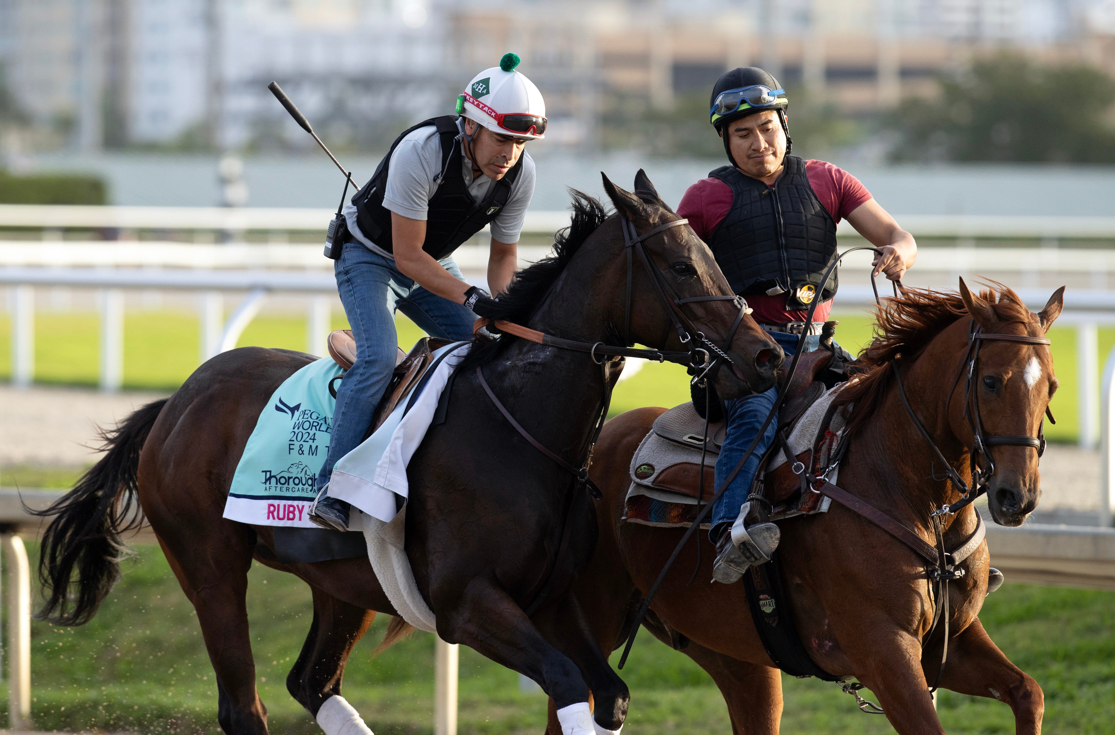 Mandella makes rare Gulfstream appearance with Ruby Nell