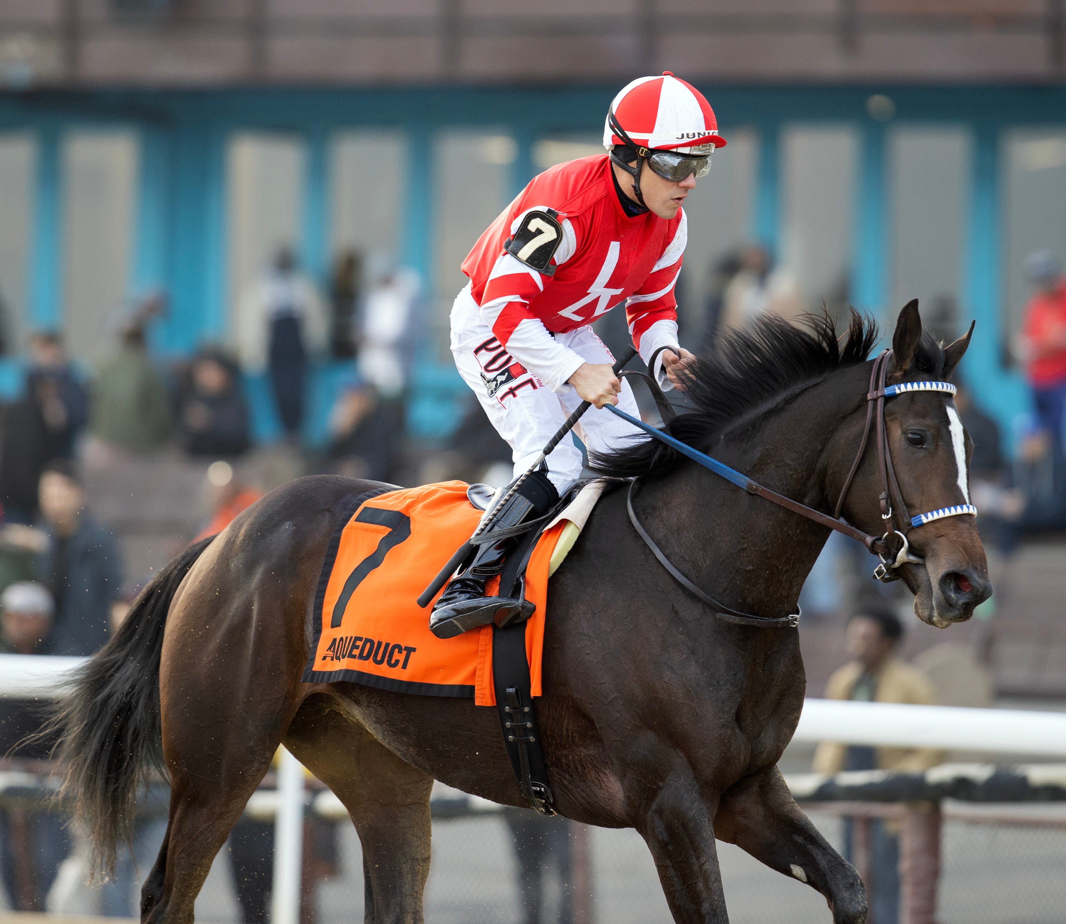 Shimmering Allure holds serious advantage in five-horse Busanda