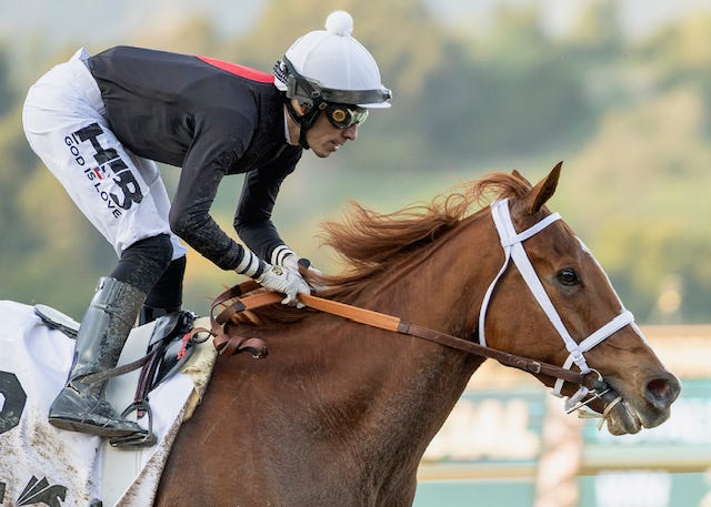 The Chosen Vron makes it look easy in California Cup Sprint