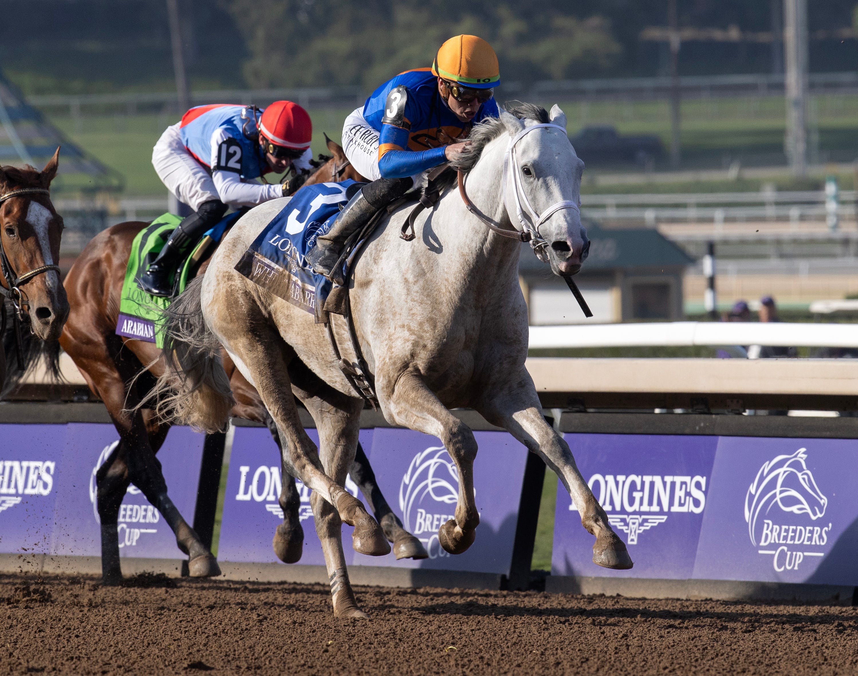 C2 Racing Stable, Prince Faisal start partnership with White Abarrio