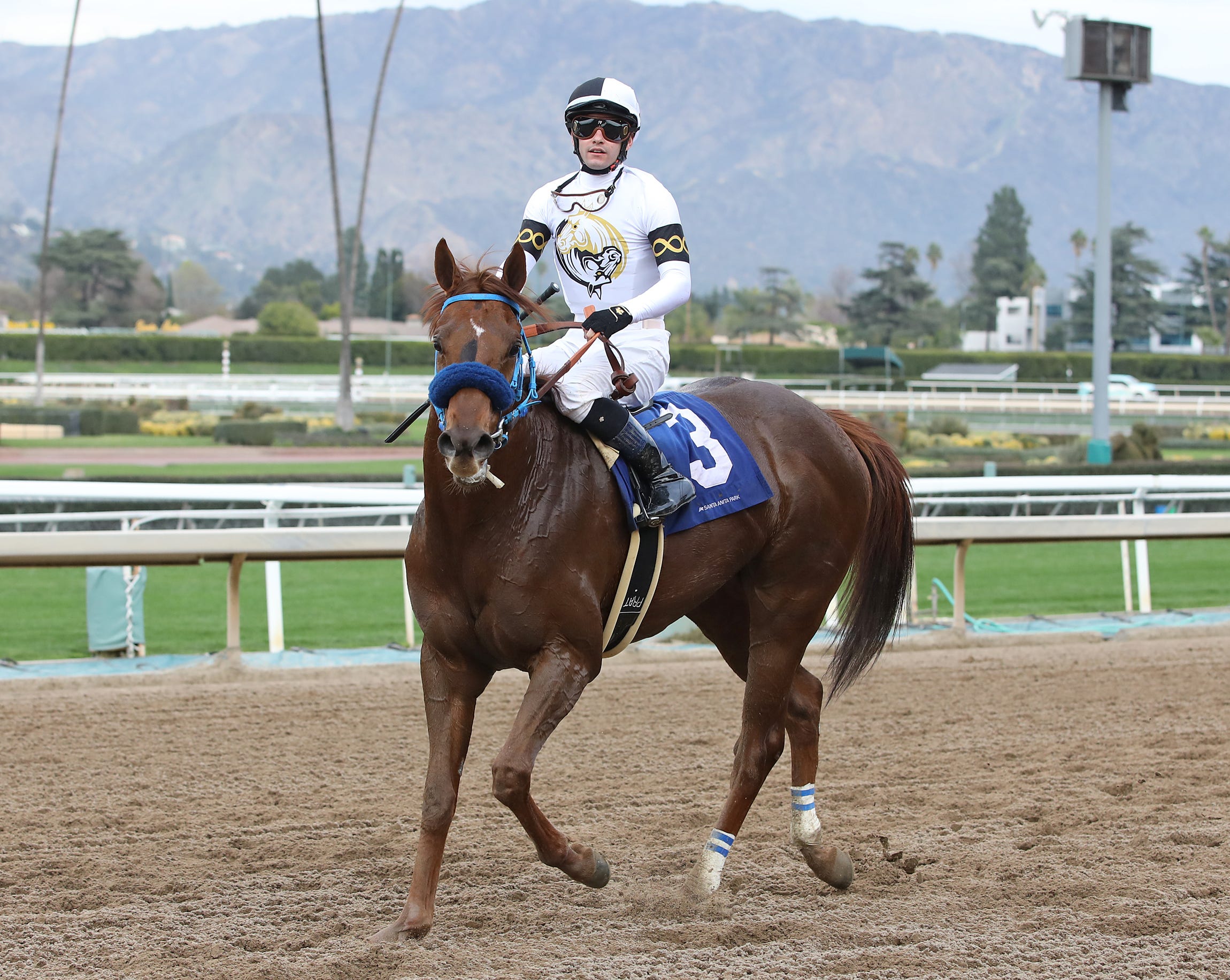 Aligato stretches out as unreliable likely favorite