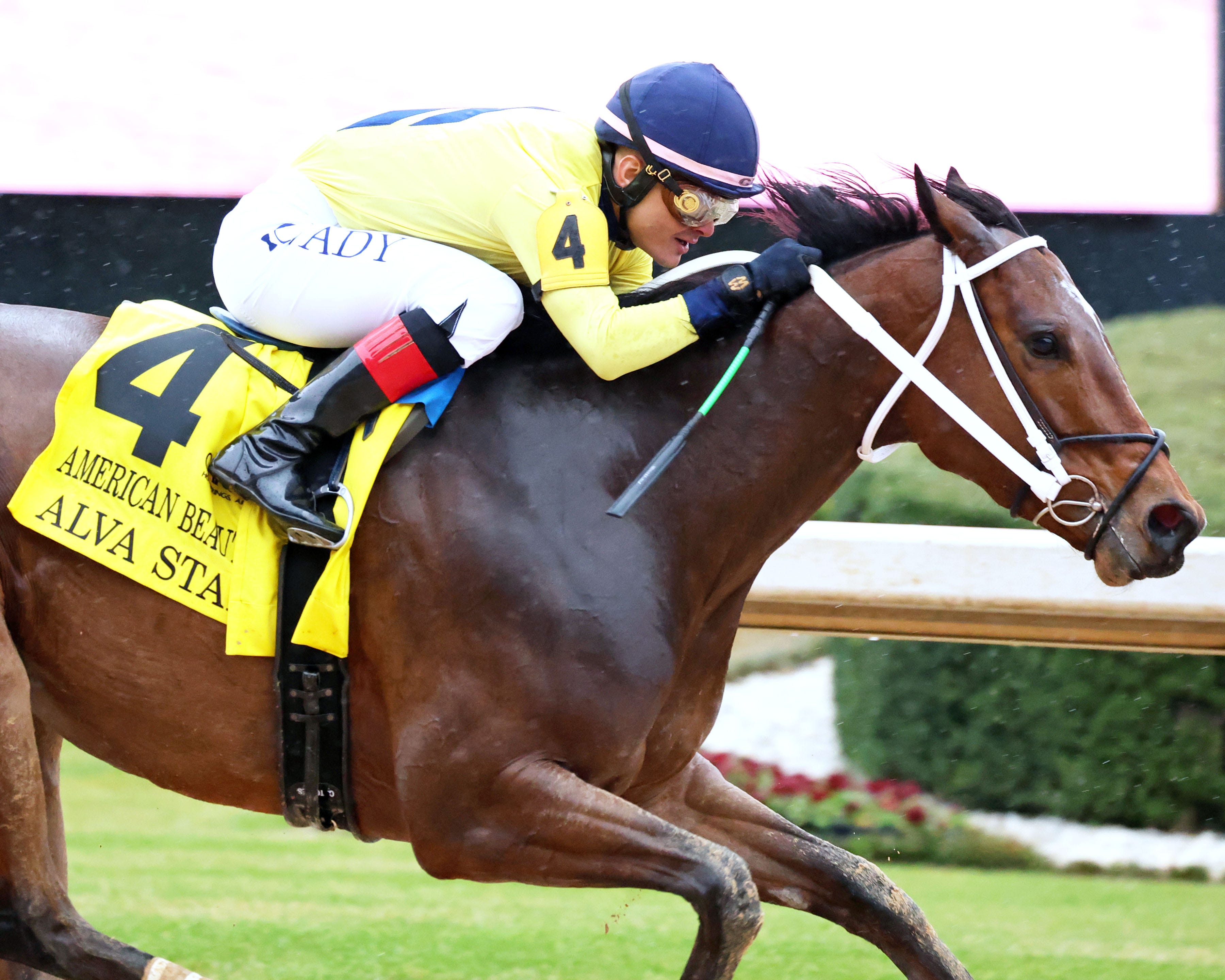 Alva Starr may point to Madison after American Beauty triumph