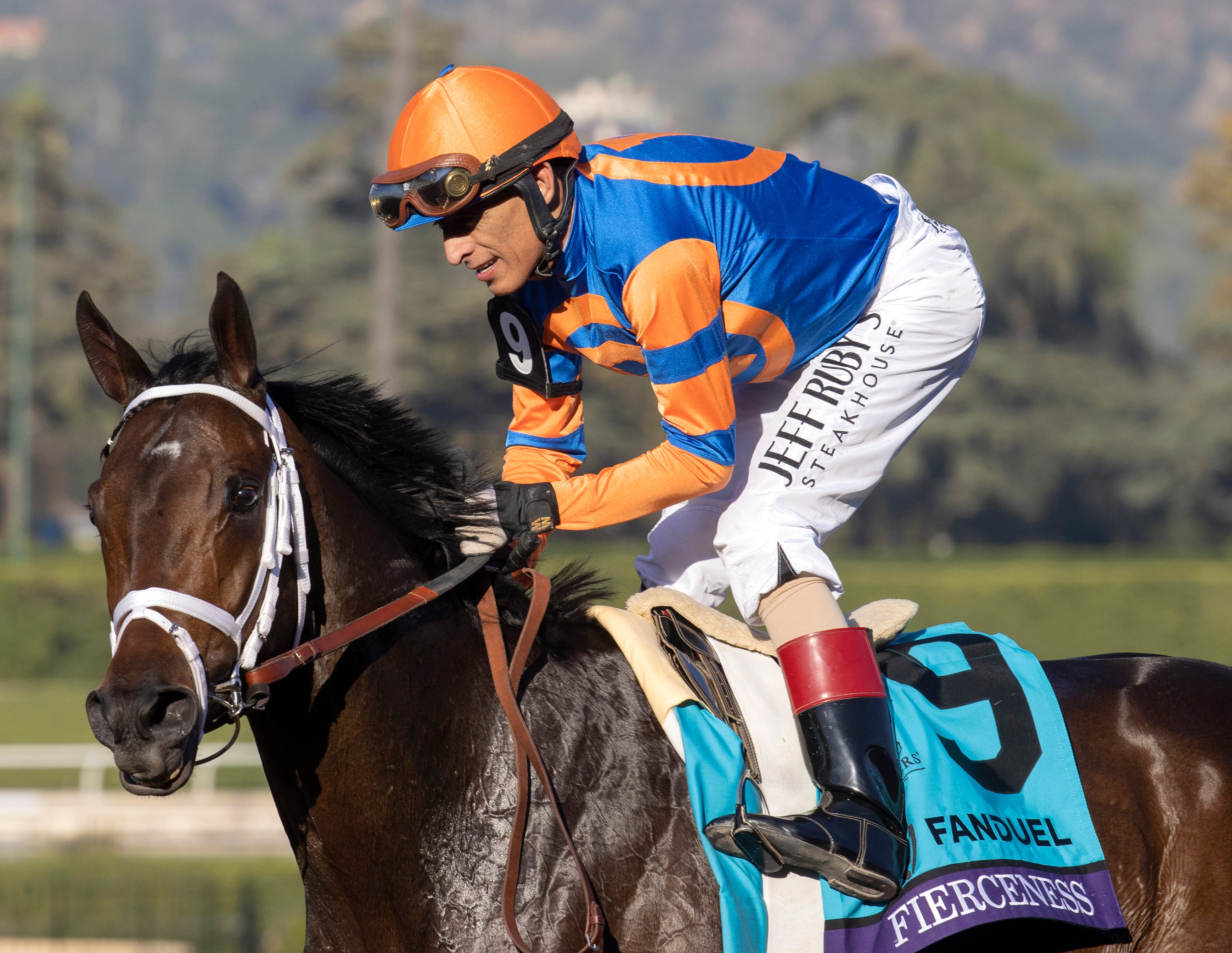 Fierceness returns in Holy Bull with title in hand