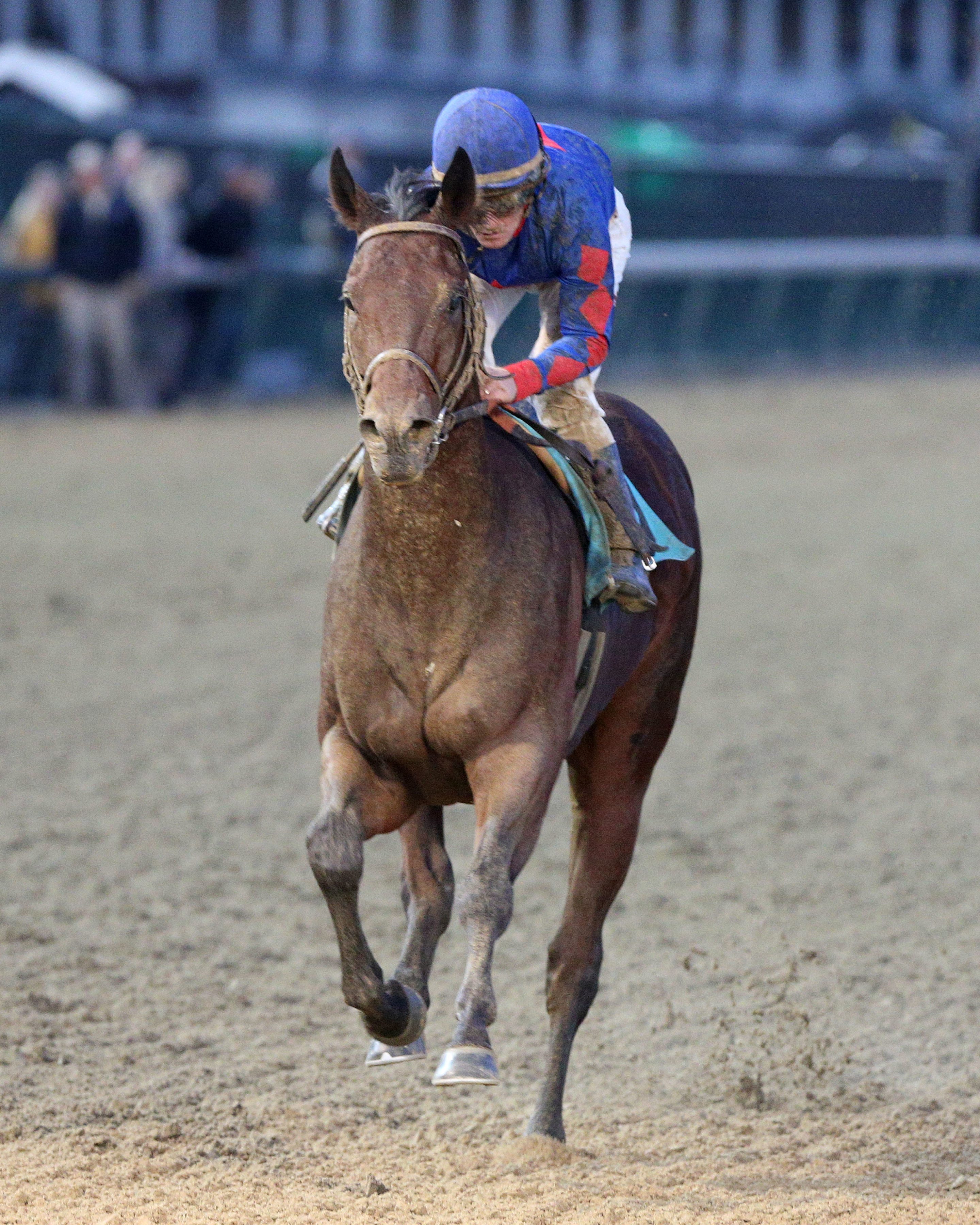 Pessin keeps Happy American after Lothenbach dispersal