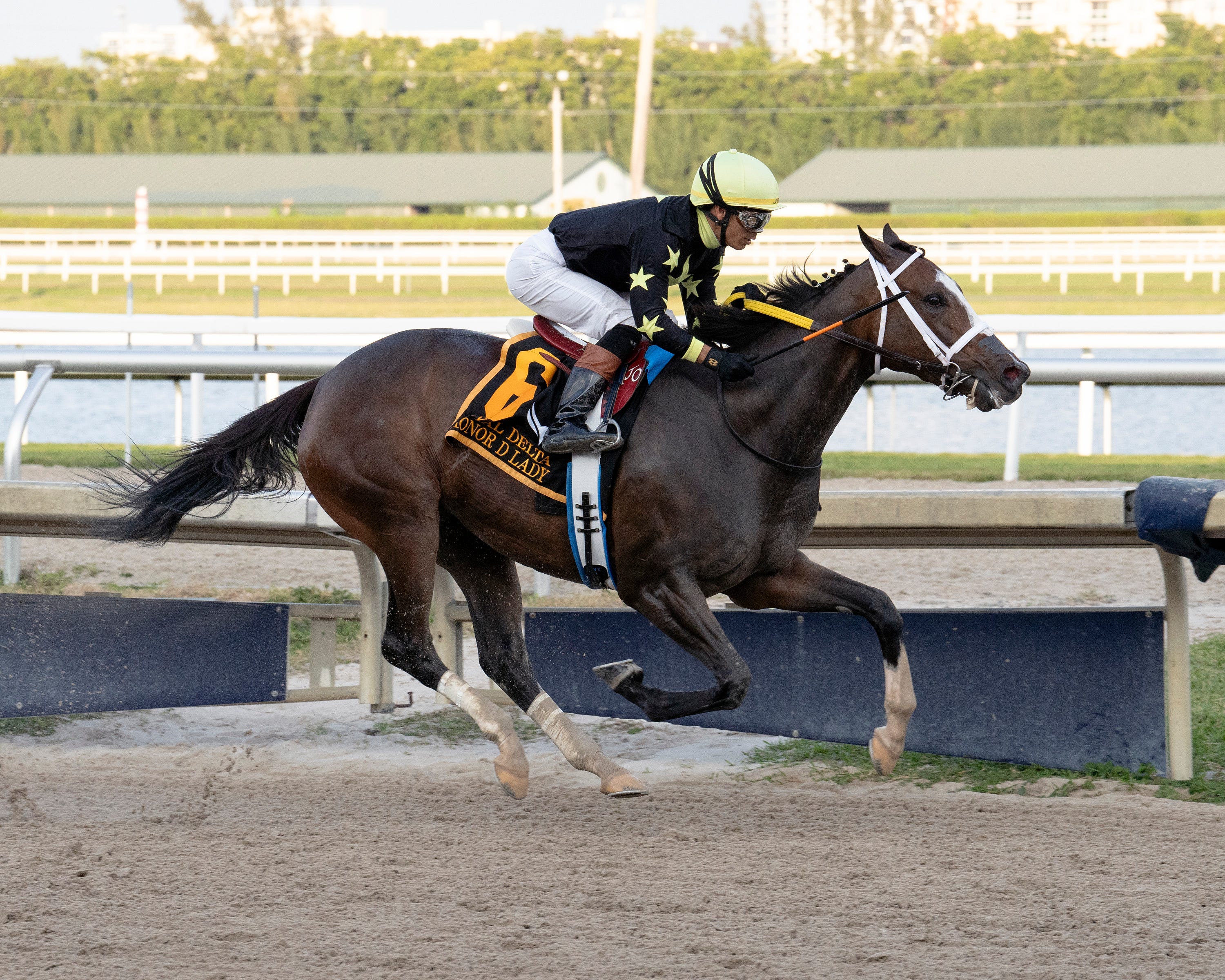 Honor D Lady takes Royal Delta with ease