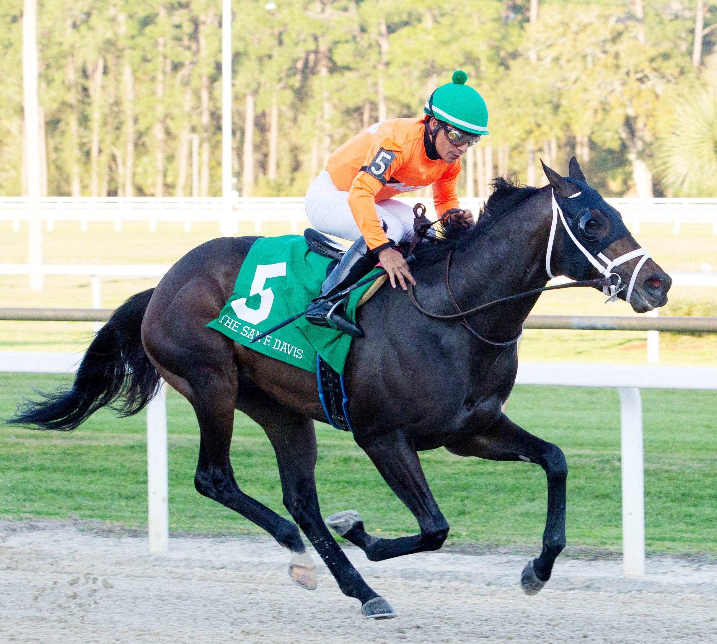 No More Time goes gate-to-wire to grab Derby points in Sam F. Davis