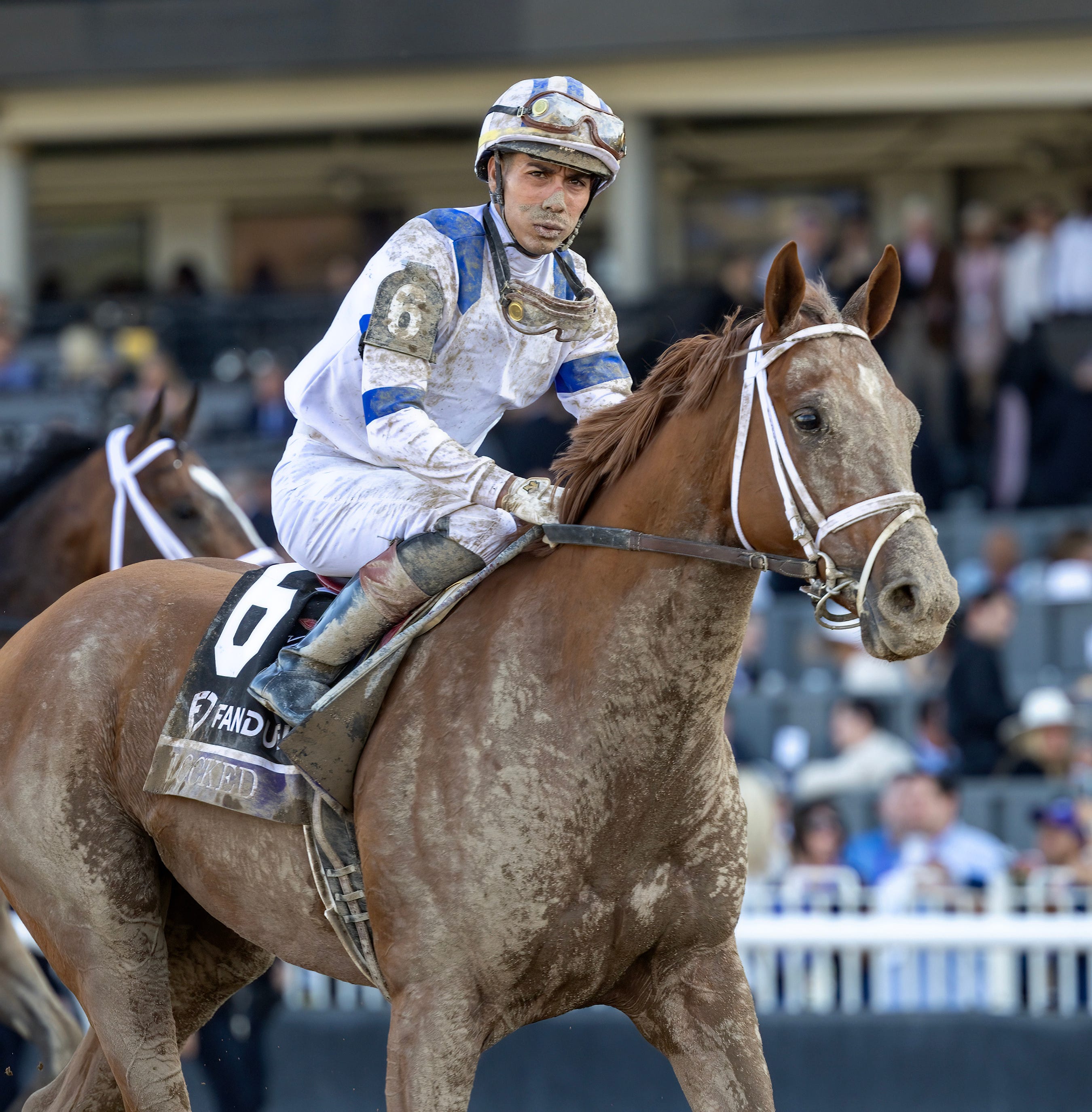 Locked will miss Sam F. Davis Stakes due to temperature, Pletcher says